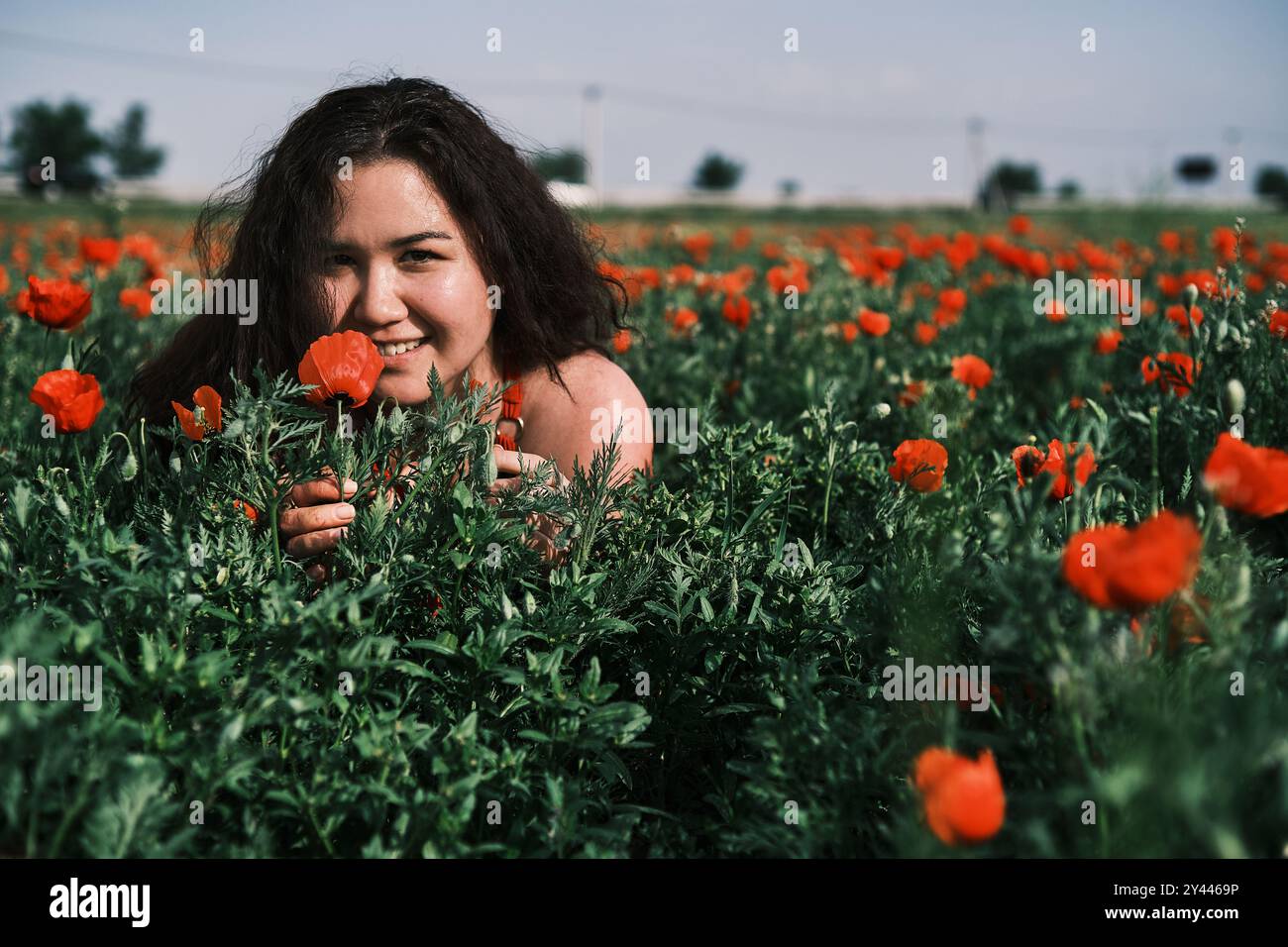 Beautiful woman in poppy field hi-res stock photography and images - Alamy