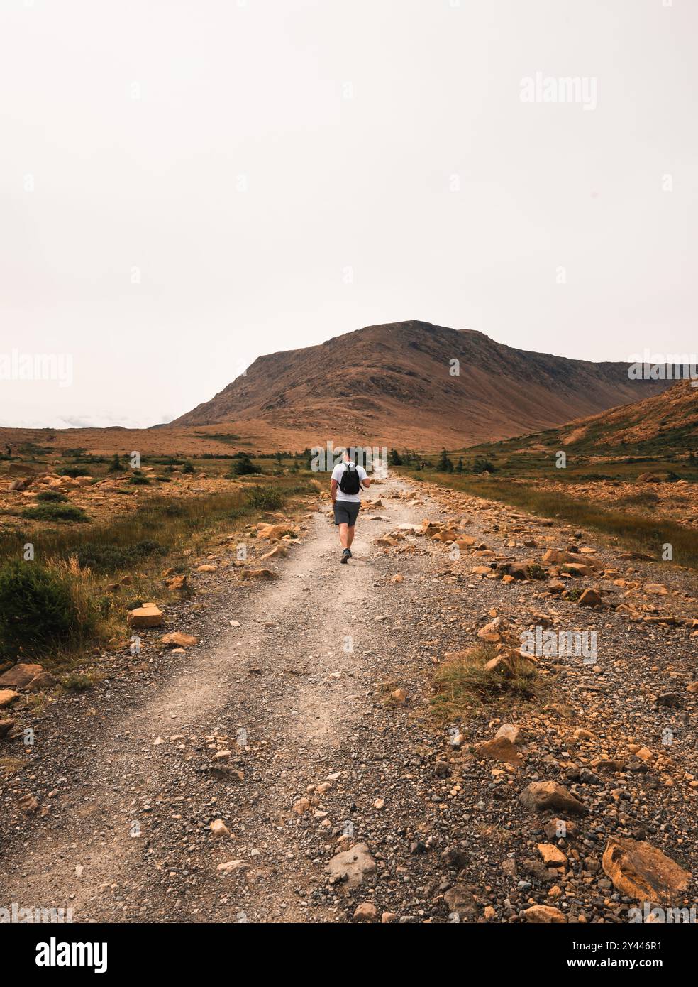 Man hiking on trail in Tablelands in Gros Morne Park, Newfoundland ...