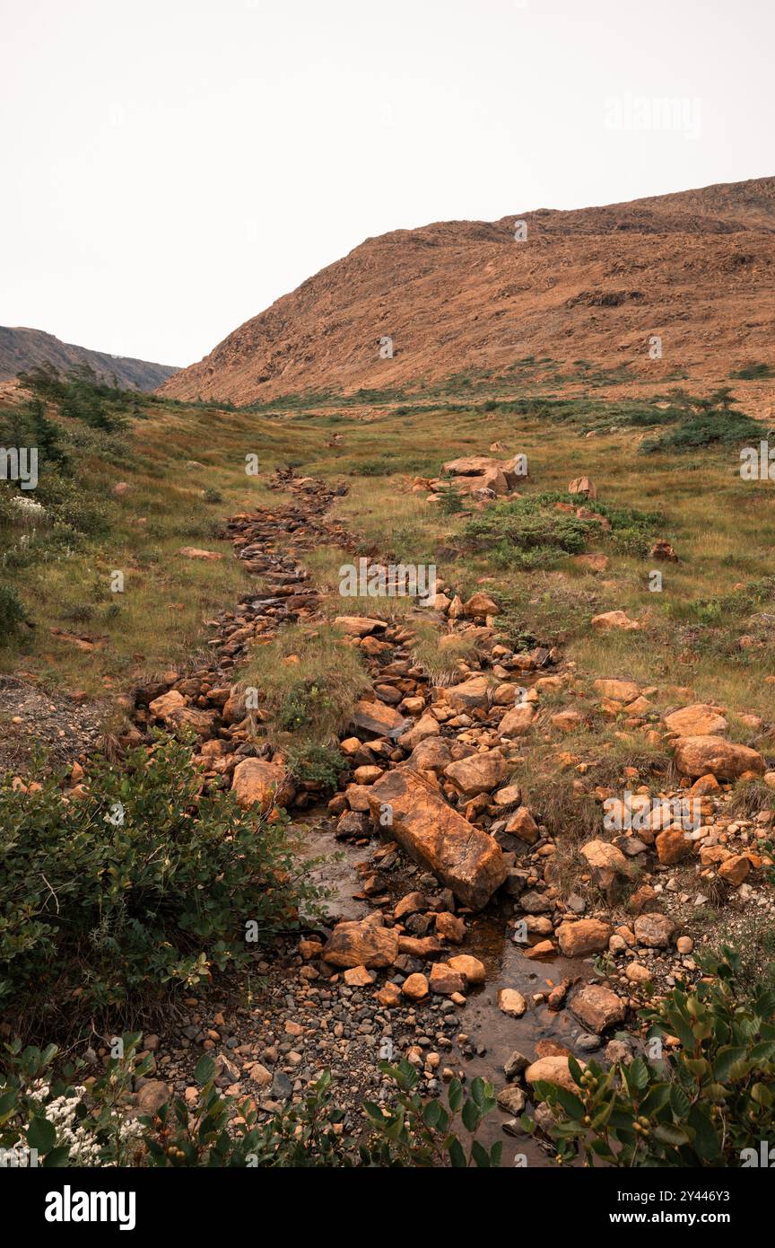 Rocky stream in Tablelands in Gros Morne Park, Newfoundland Stock Photo ...