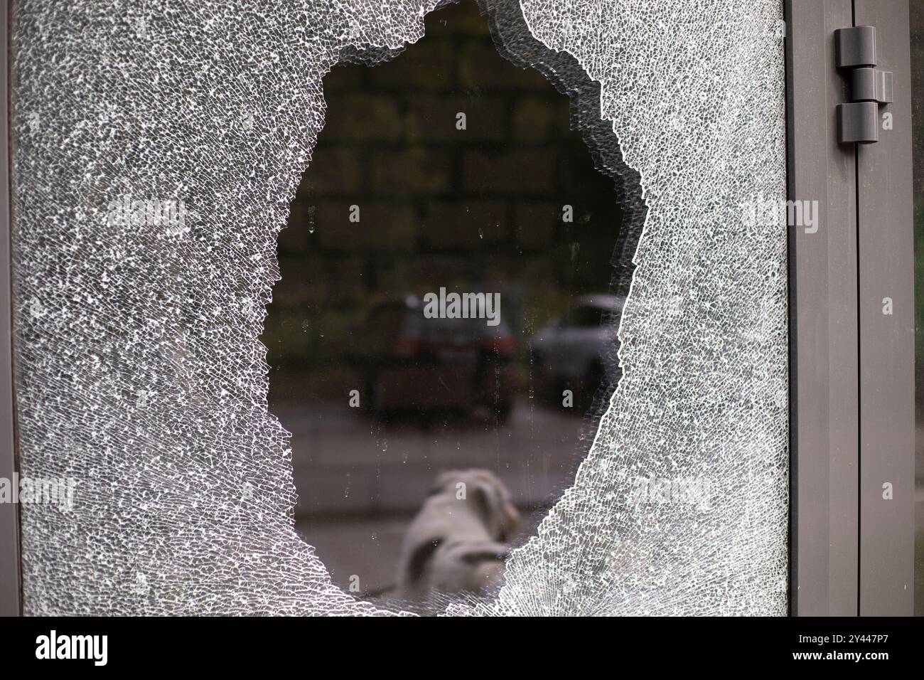 Broken glass. Cracks in the window. Many small cracks Stock Photo - Alamy
