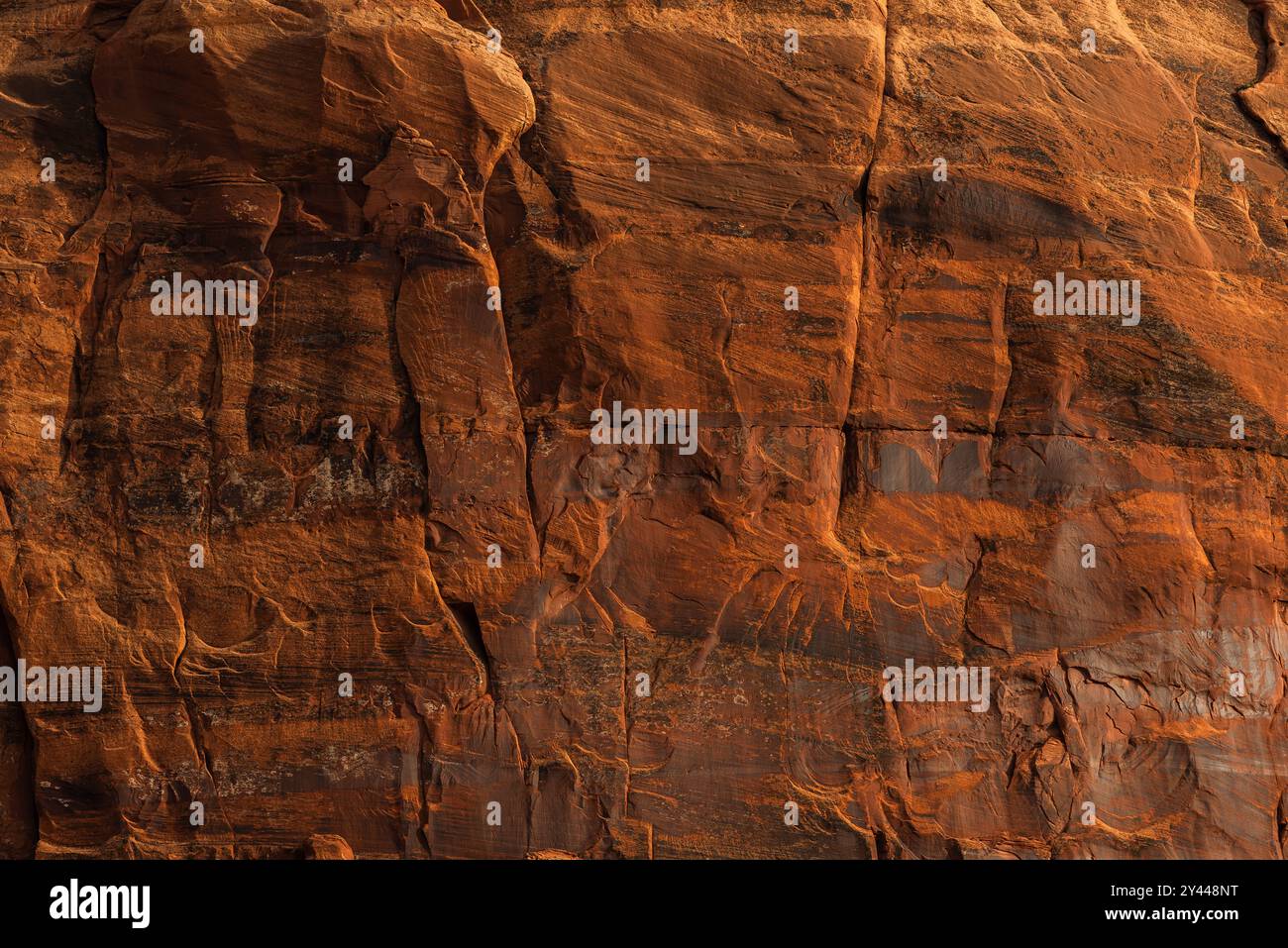 Detailed close-up of weathered red sandstone wall with rich textures ...