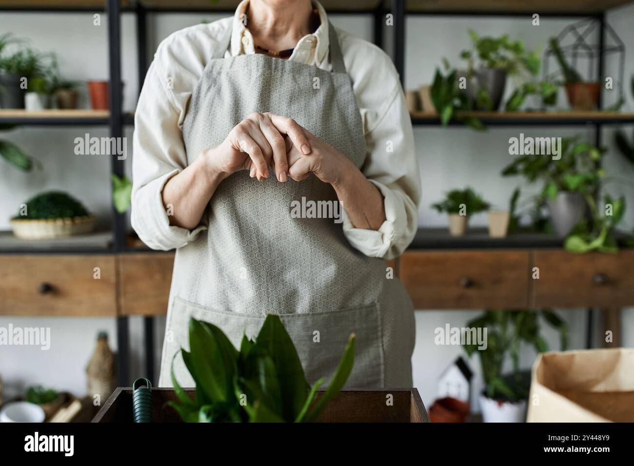 A mature woman lovingly cares for her plants in a welcoming studio ...