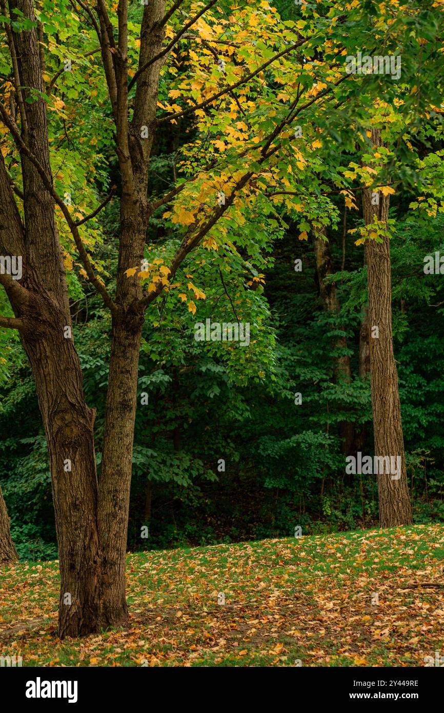 Signs of autumn hi-res stock photography and images - Alamy