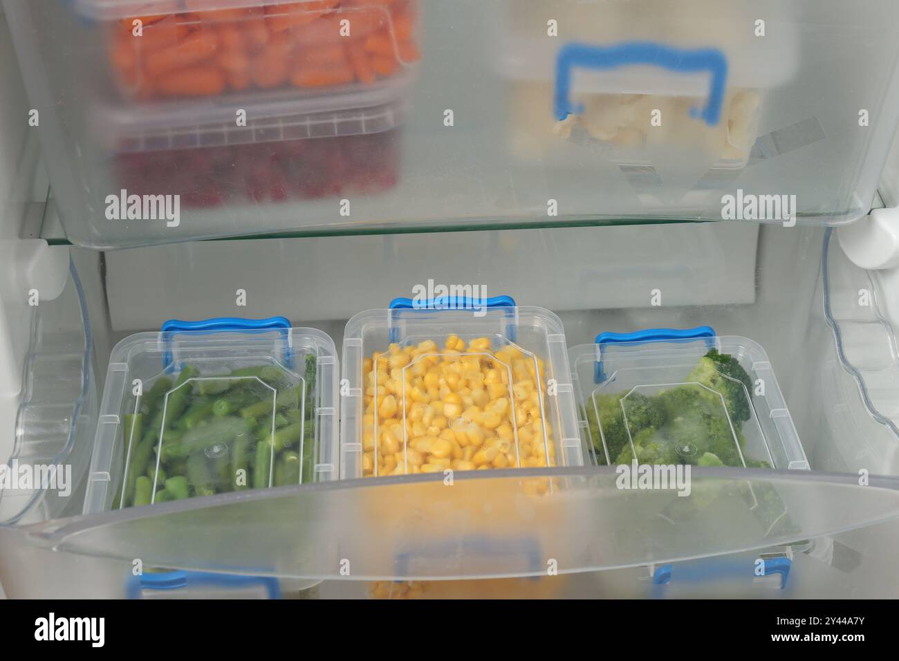 Plastic containers with different frozen vegetables in refrigerator ...