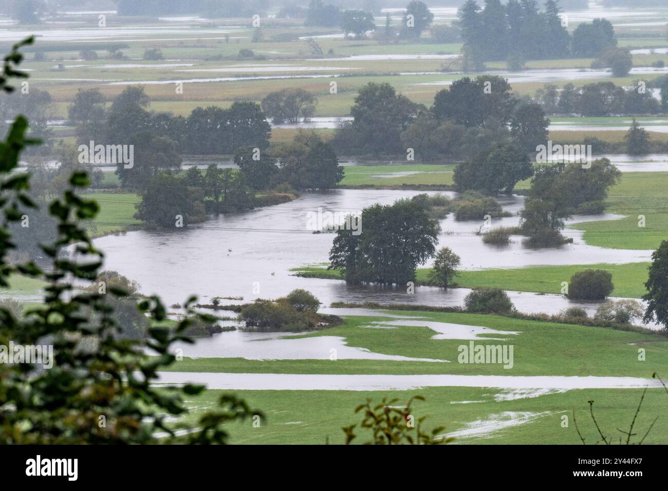 Cham, Germany. 16th Sep, 2024. A meadow and fields are partially ...