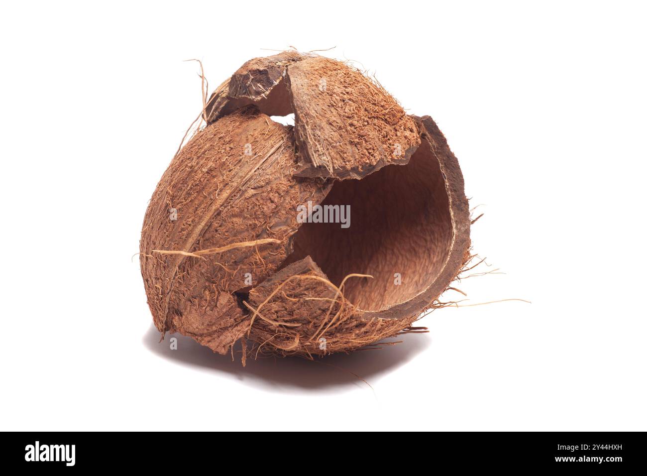 Coconut peel isolated on white background Stock Photo - Alamy