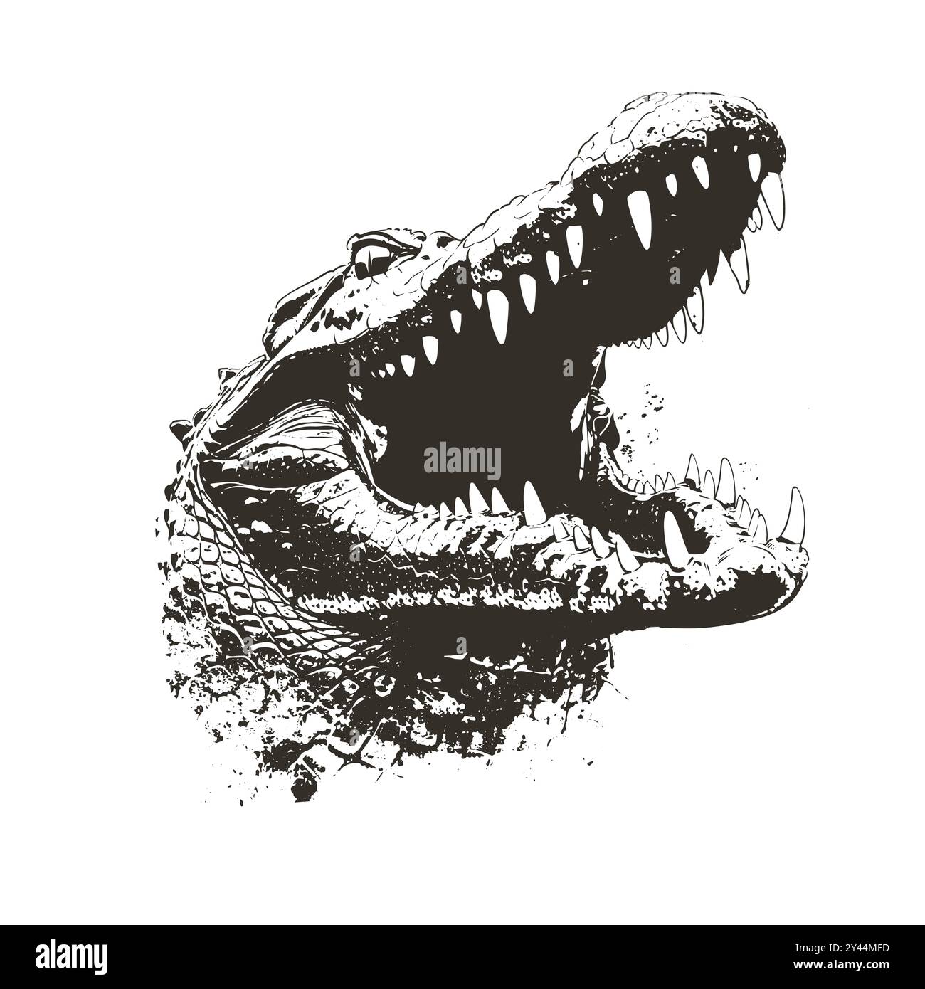Detailed black and white vector of roaring crocodile head isolated ...
