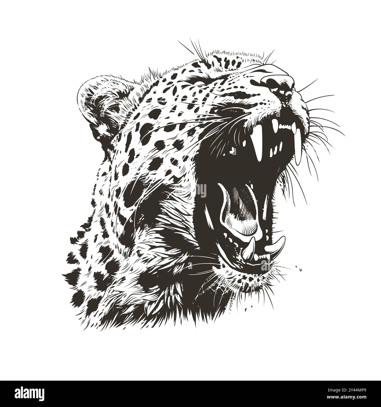 Grunge black white roaring hi-res stock photography and images - Alamy