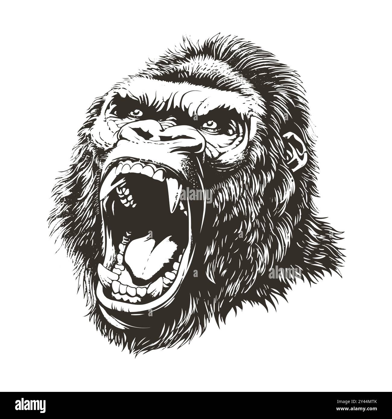 Gorilla Face Clipart Black And White 360+ Gorilla Face Angry