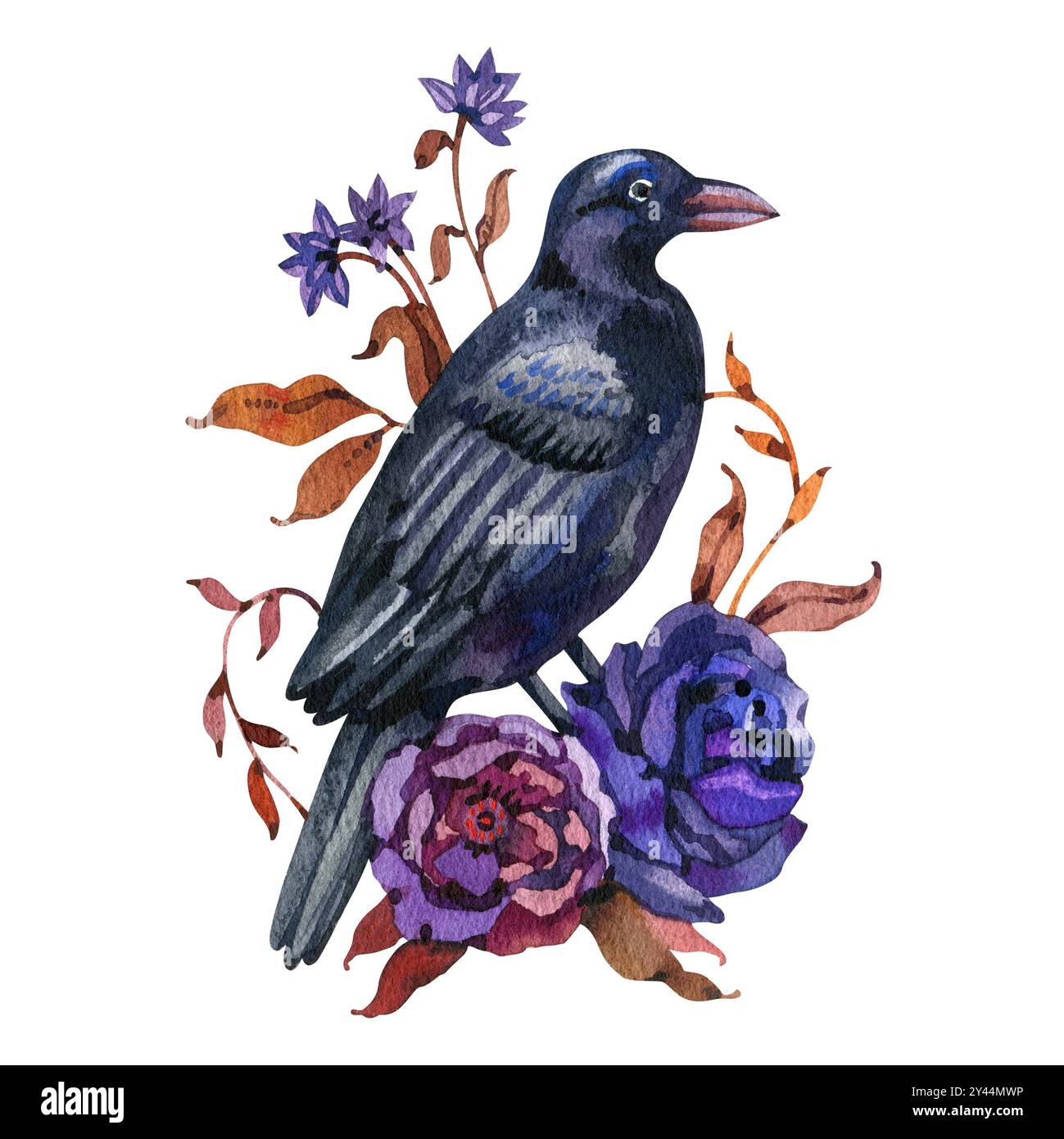 Watercolor raven with flowers siting on garden roses. Hand drawn ...