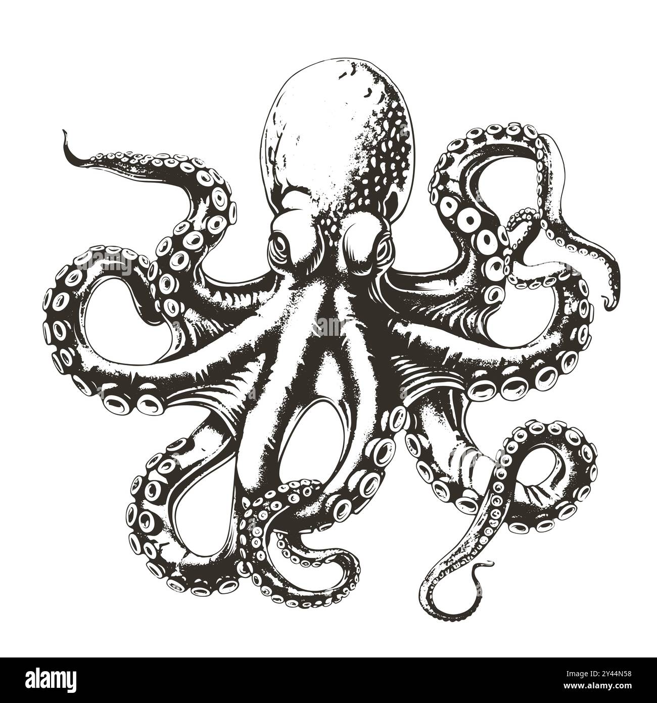 Detailed black and white vector of octopus isolated. Perfect for prints ...
