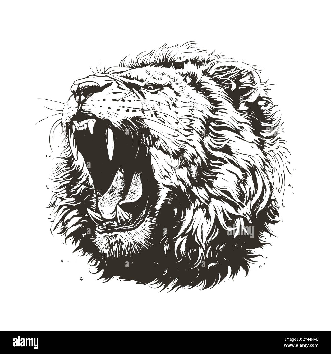 Detailed black and white vector of roaring lion head isolated. Perfect ...