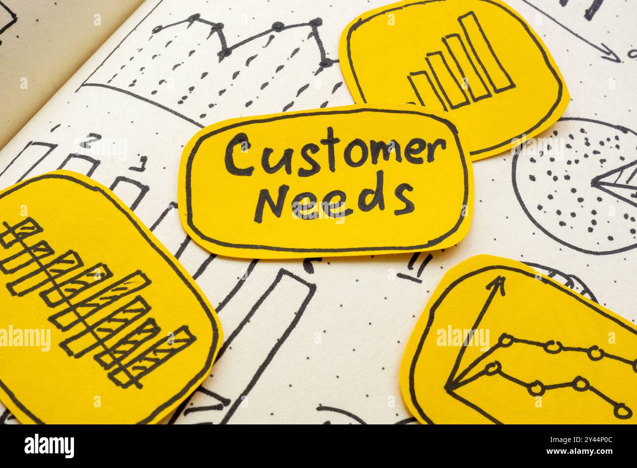 Charts and graphs labeled customer needs. Marketing analysis and market ...