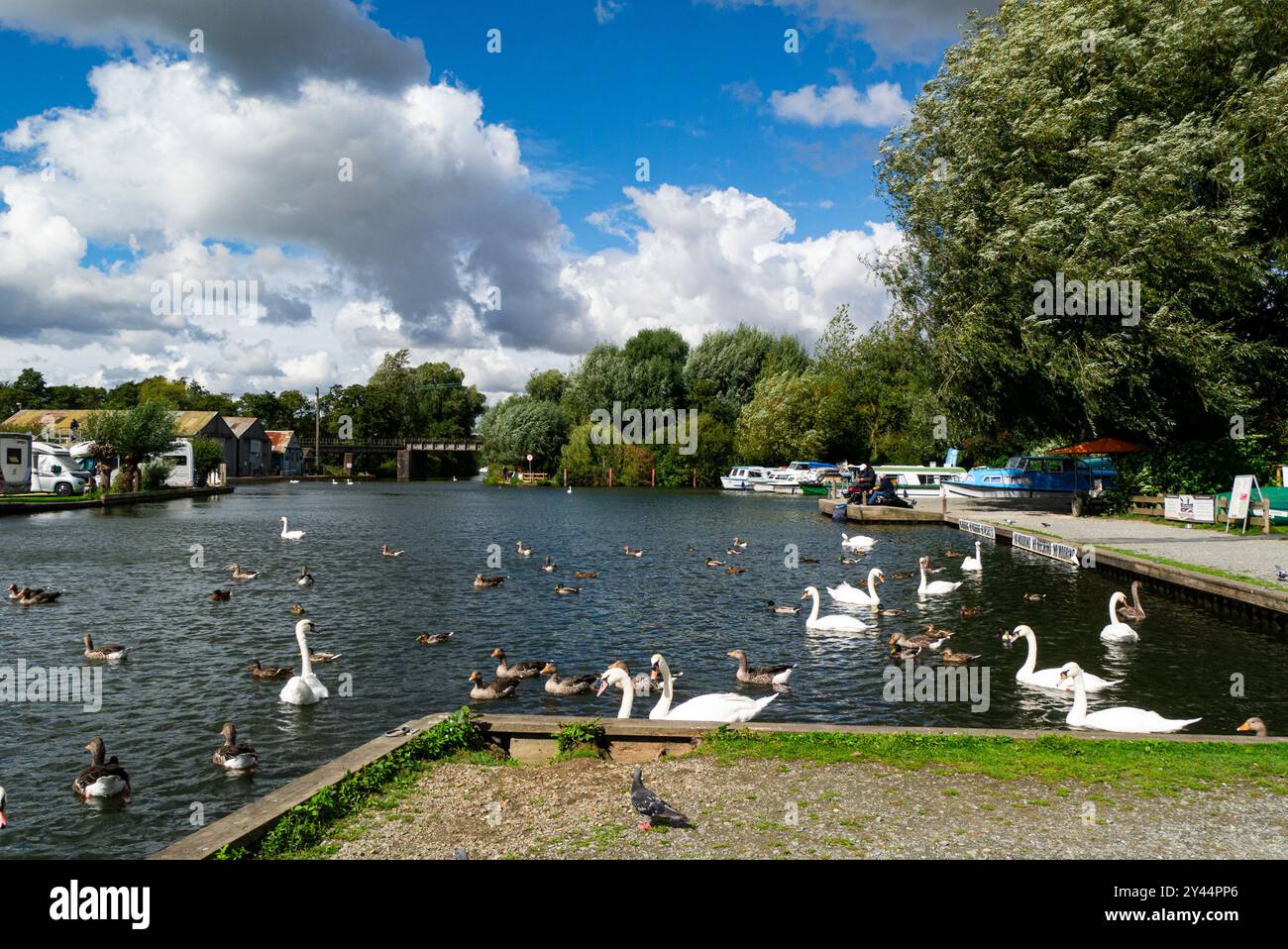 Two men fishing in river bure hi-res stock photography and images - Alamy