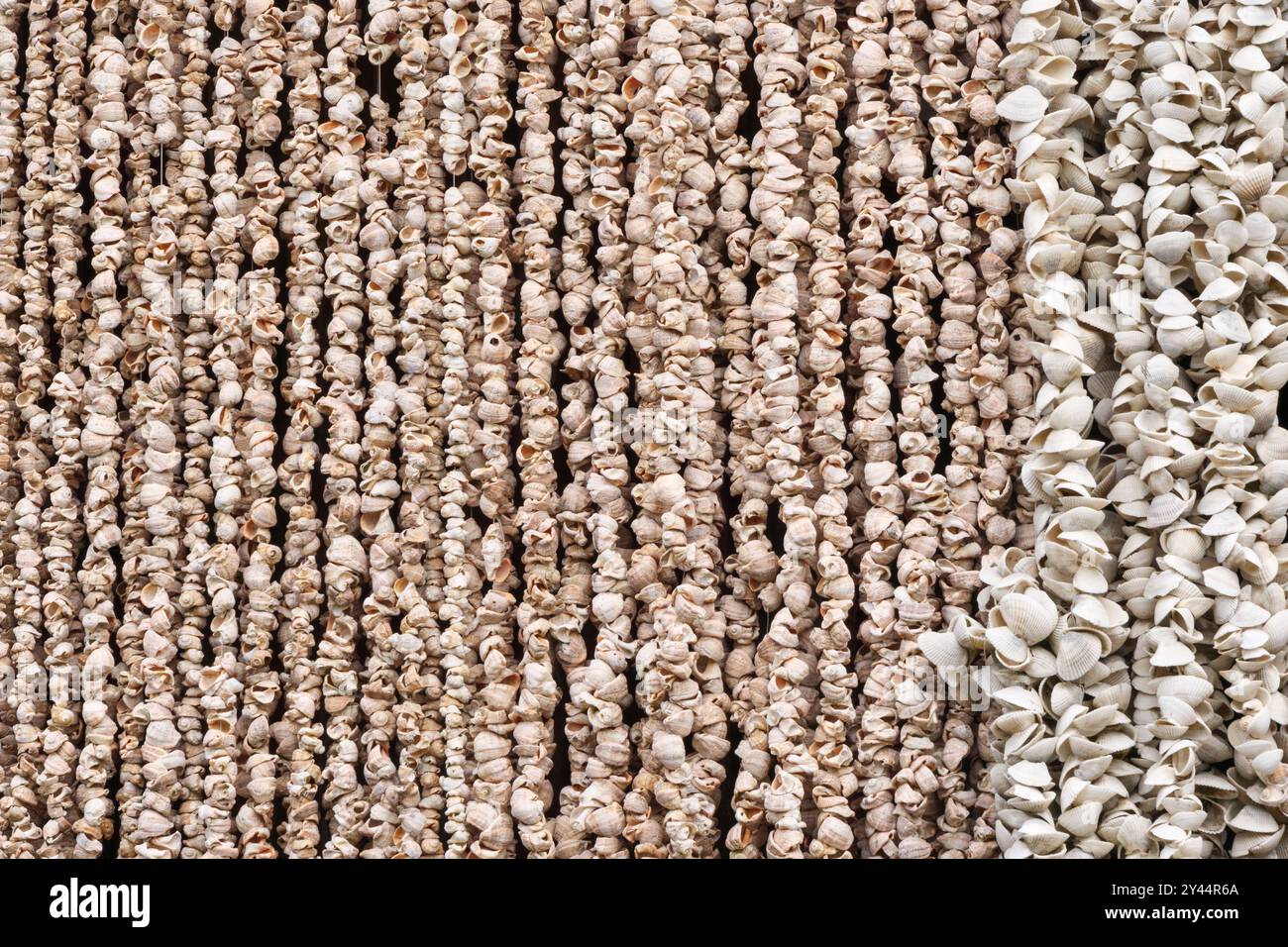 A decorative curtain made from natural seashells enhances the coastal ...