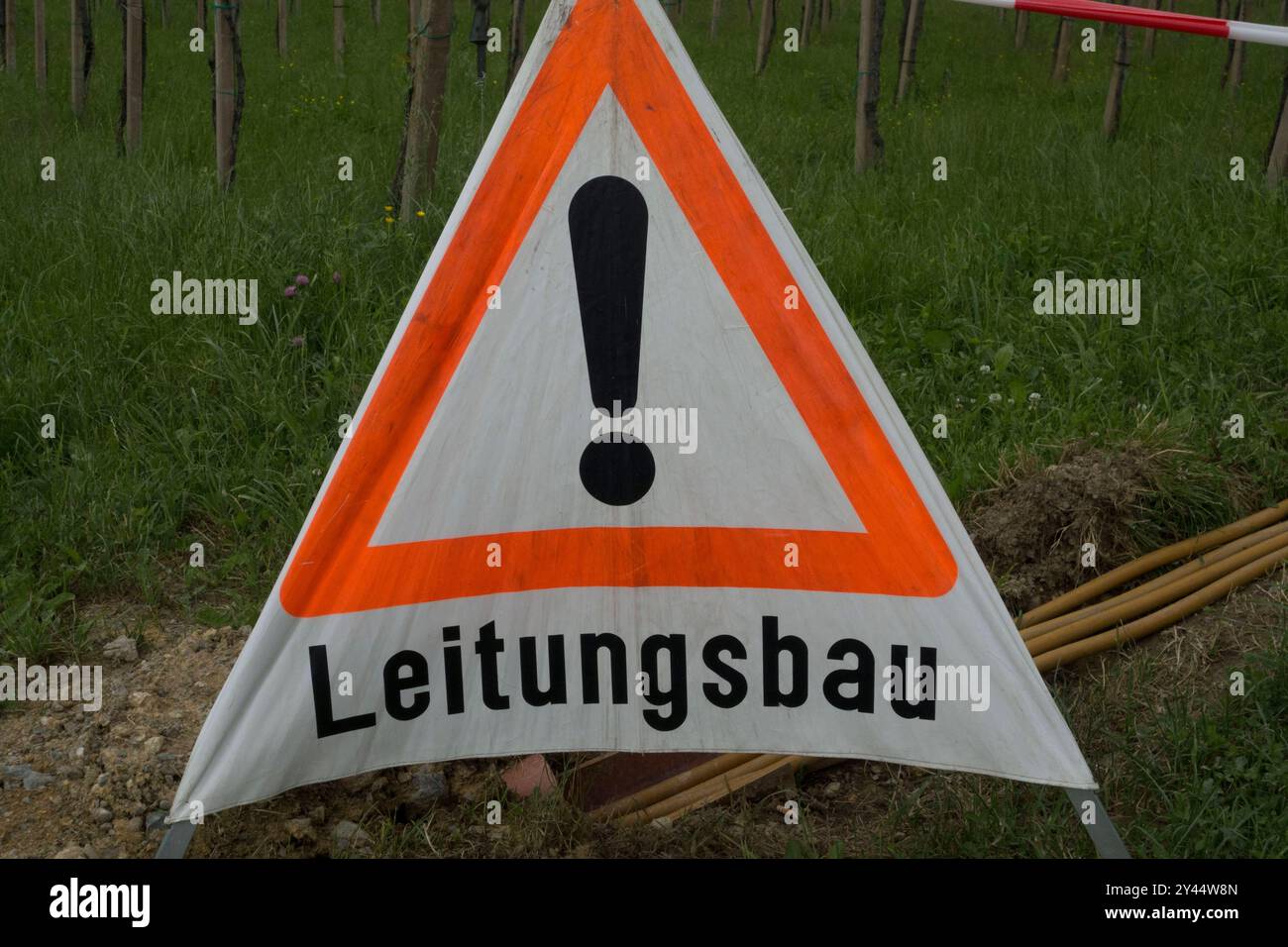 energy supply with power poles and lines in a power grid power poles ...