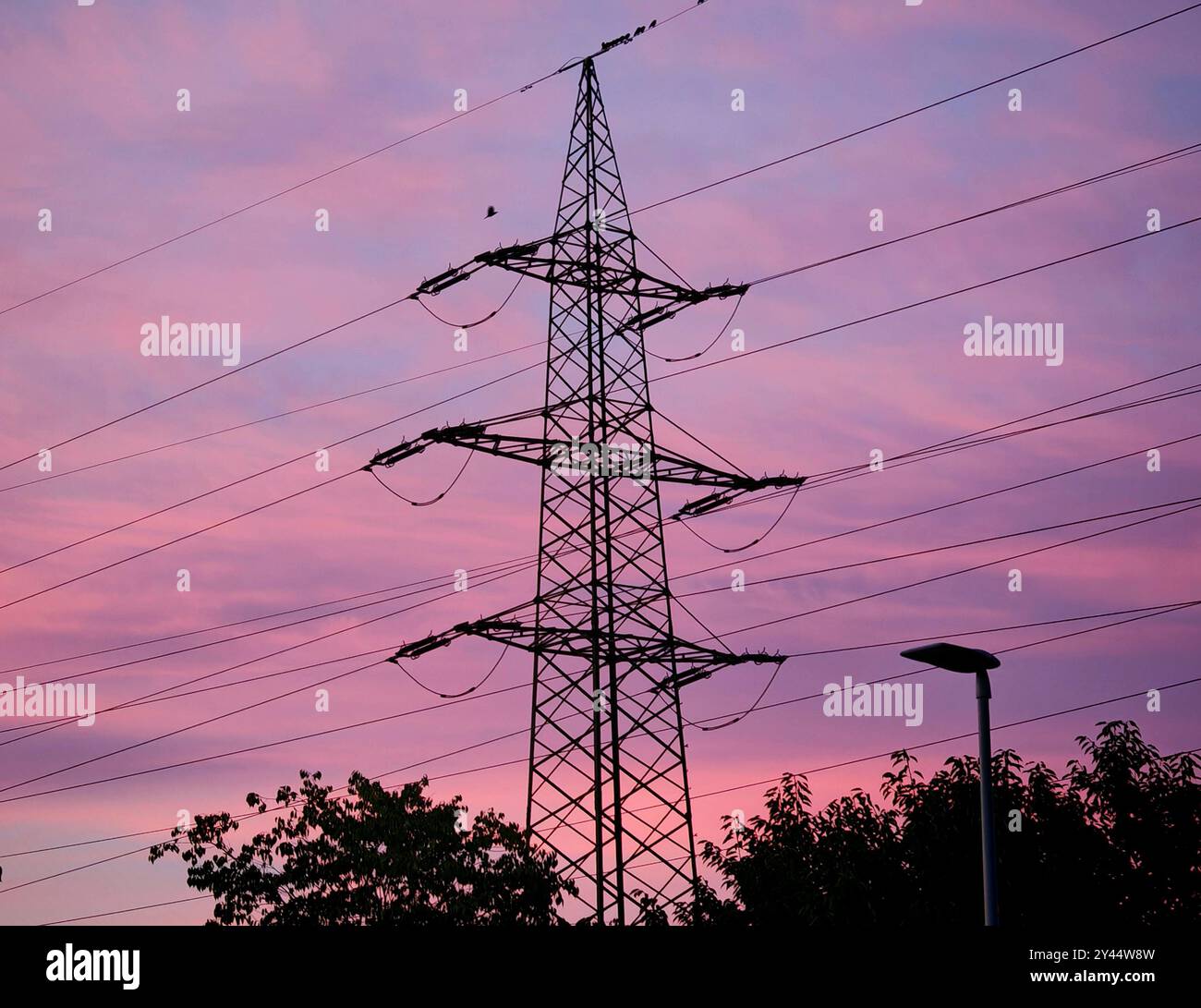 energy supply with power poles and lines in a power grid power poles ...