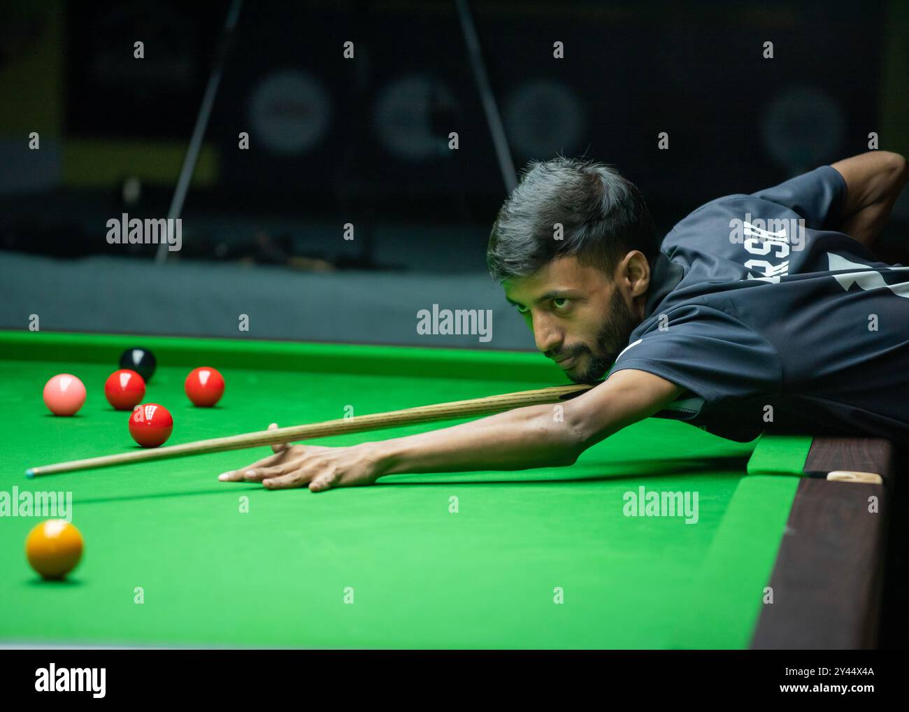 Billiards and snooker federation of india hi-res stock photography and ...