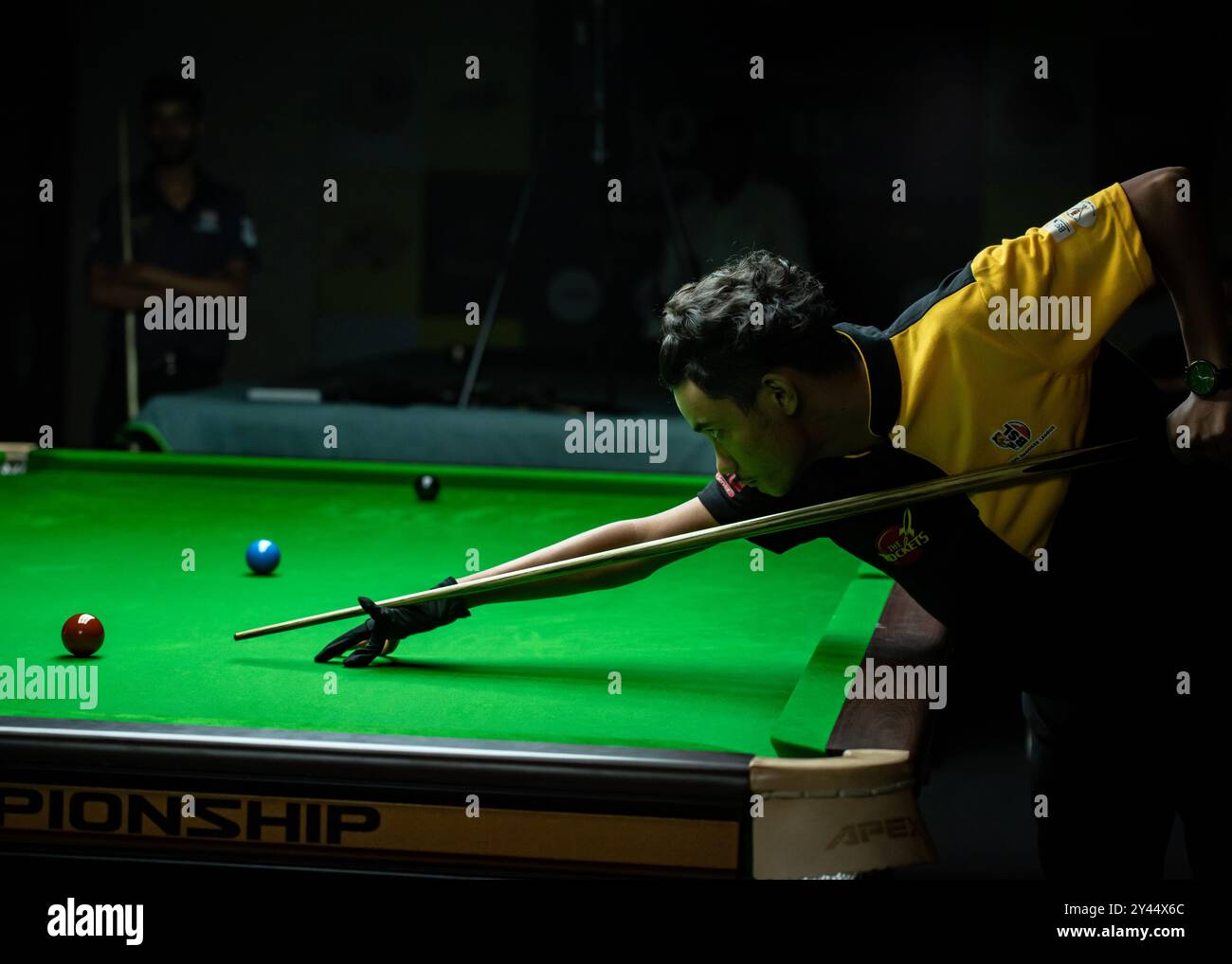 Billiards and snooker federation of india hi-res stock photography and ...