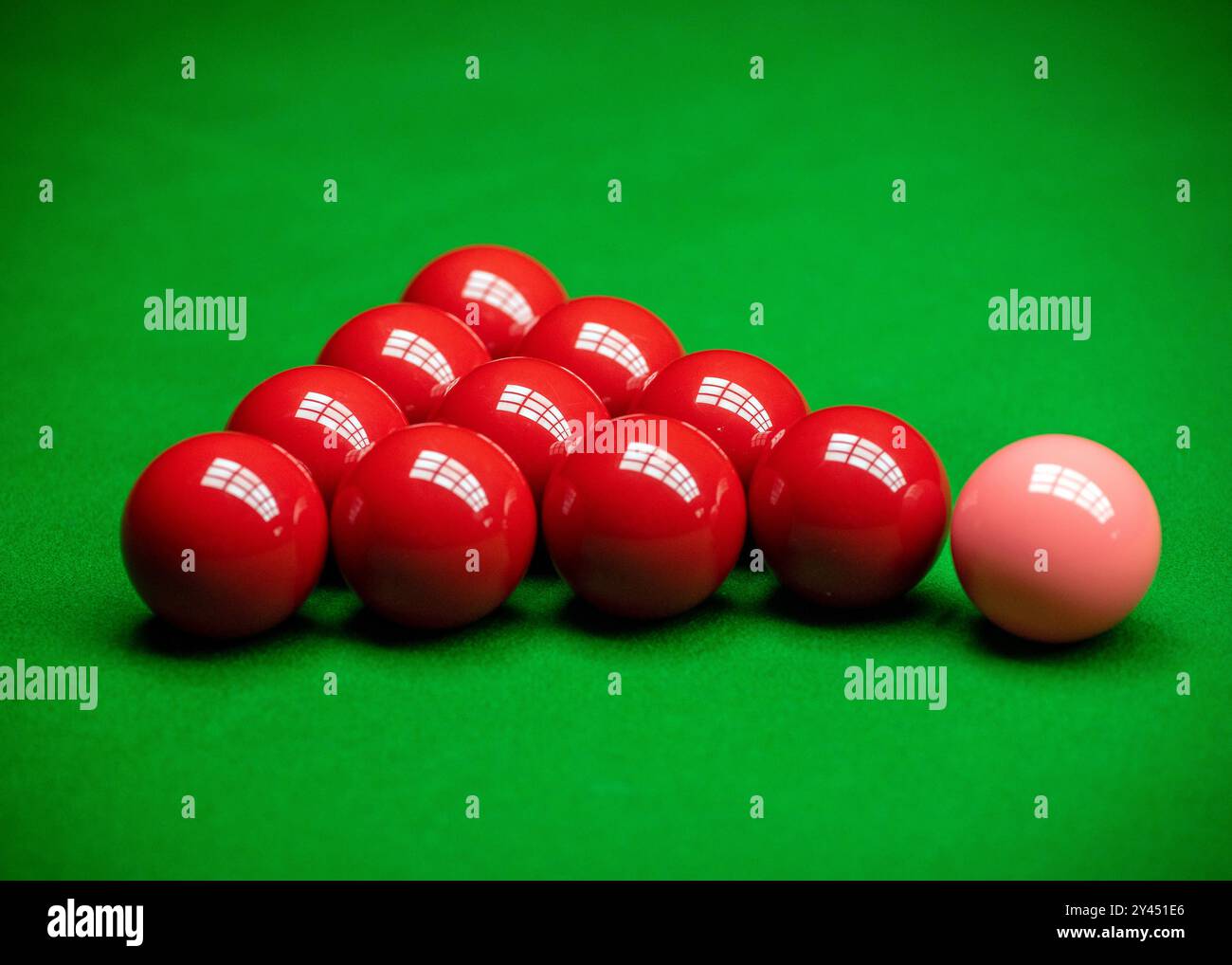 Billiards and snooker federation of india hi-res stock photography and ...