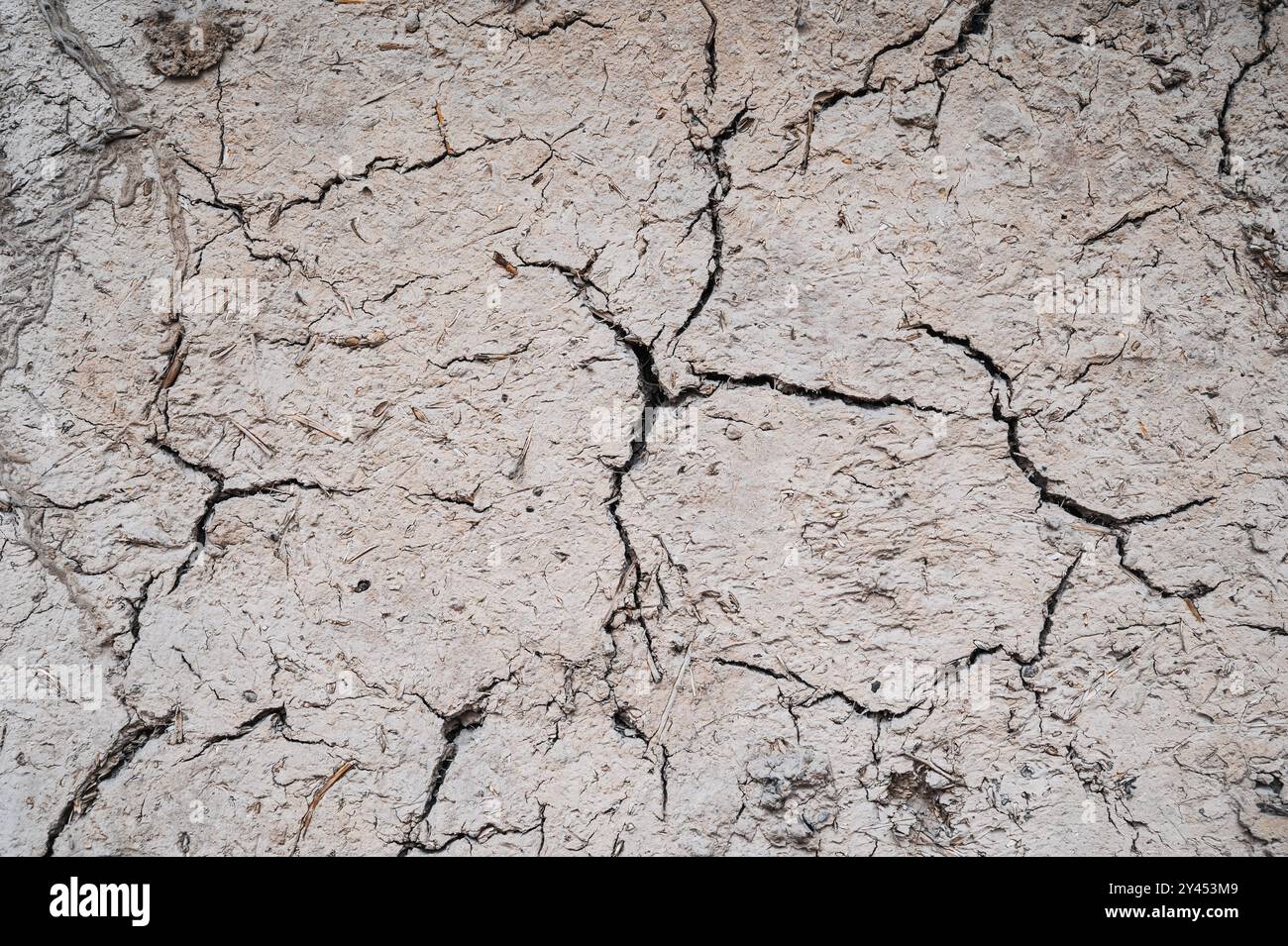 The texture of dirt and straw used for a primitive building structure ...
