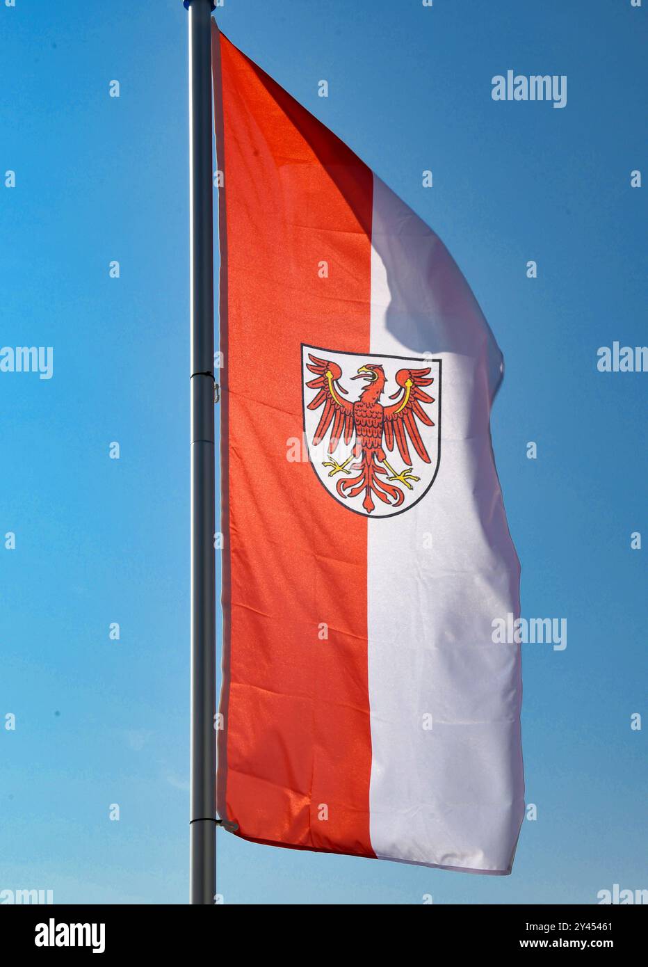 Fahne des Landes Brandenburg, gehisst in einer Galerie der Fahnen der ...