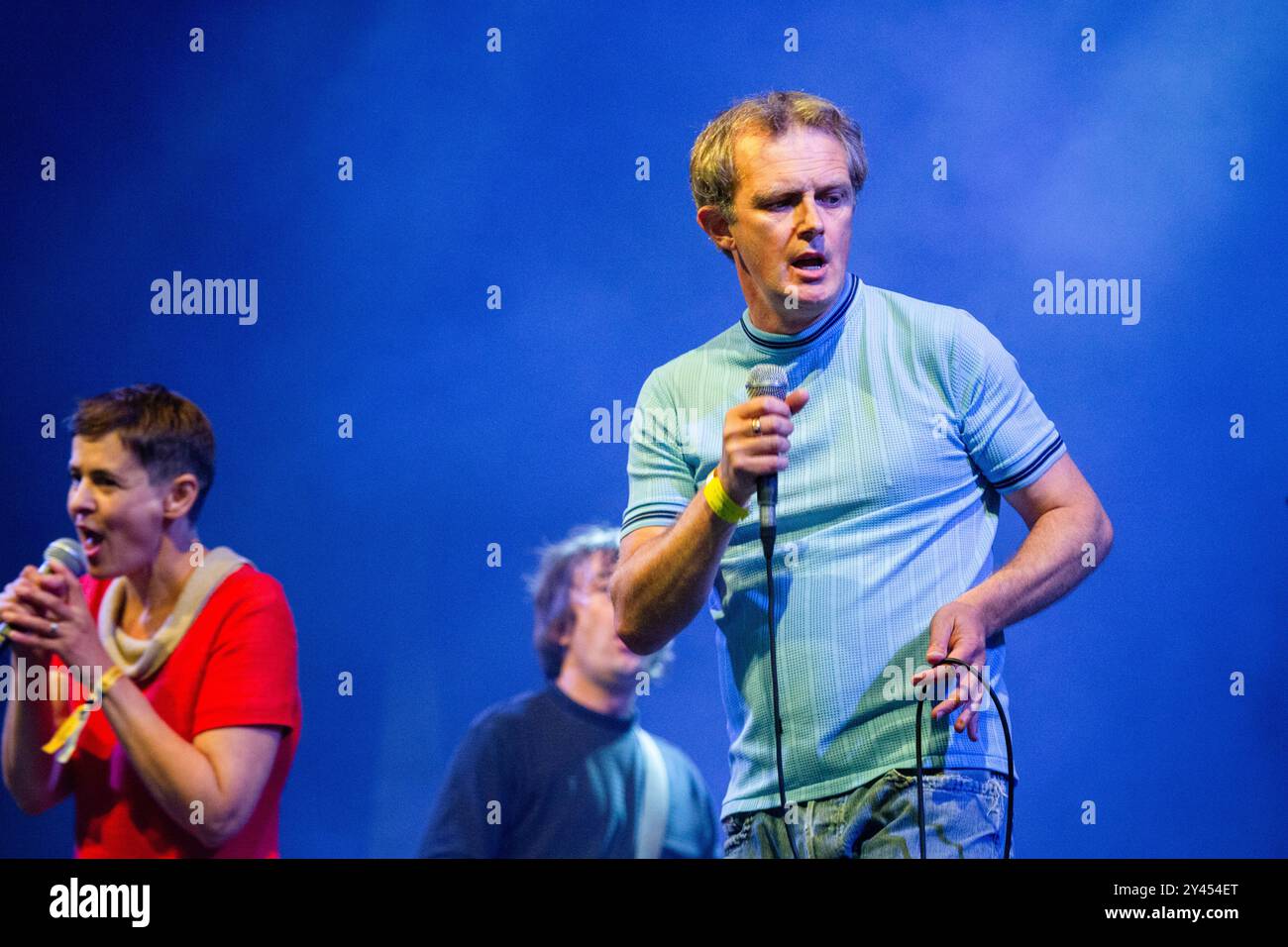 THE POOH STICKS, CONCERT, GREEN MAN FESTIVAL 2014: Hue Williams and ...