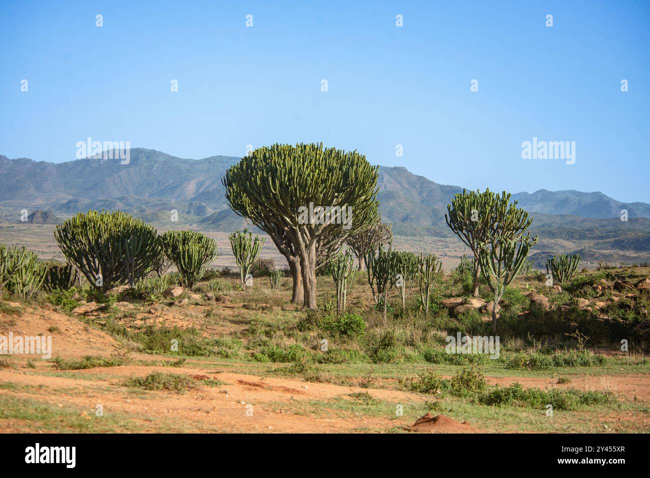 Kaabong hi-res stock photography and images - Alamy