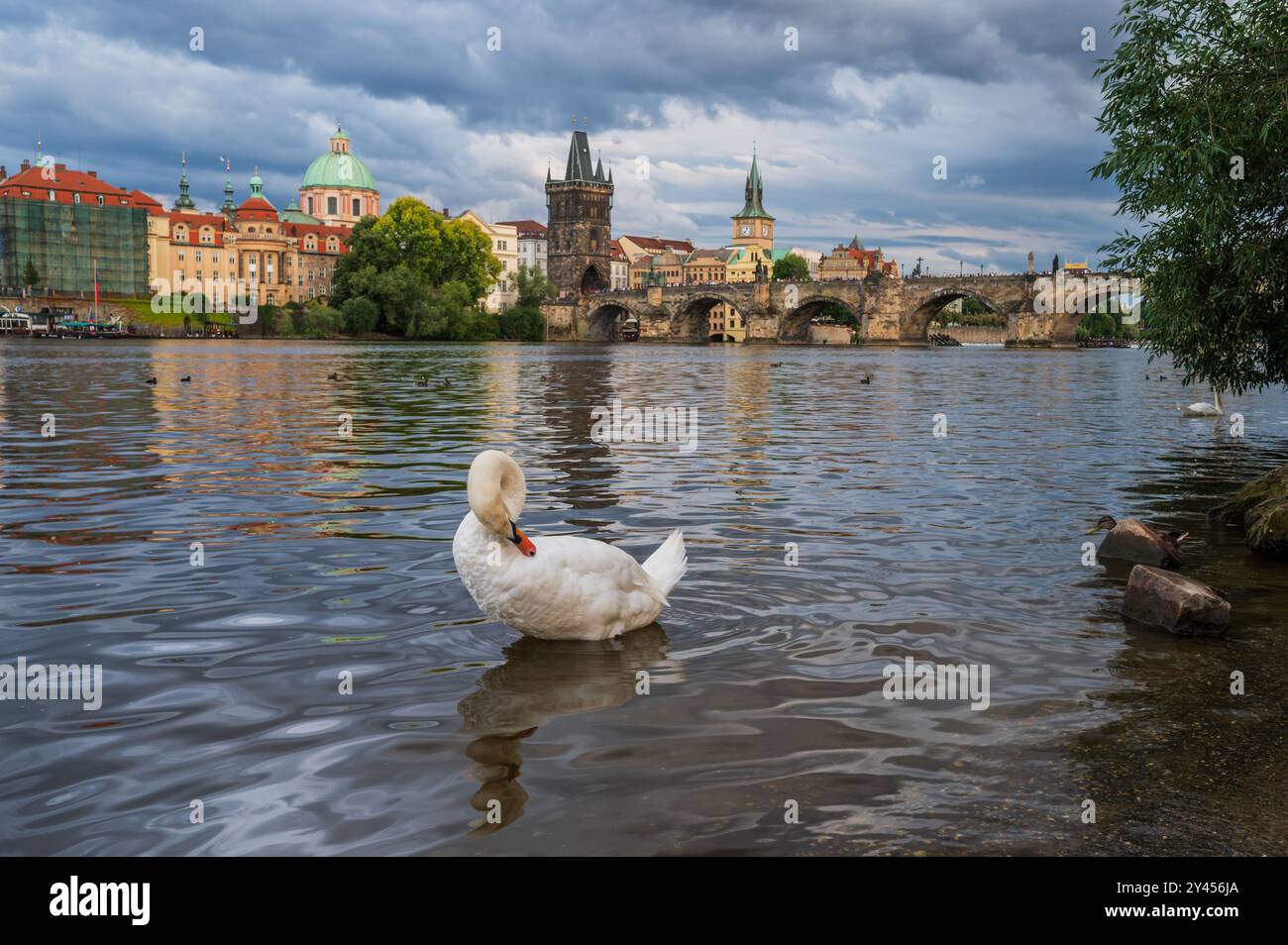 Nature in urban prague hi-res stock photography and images - Alamy