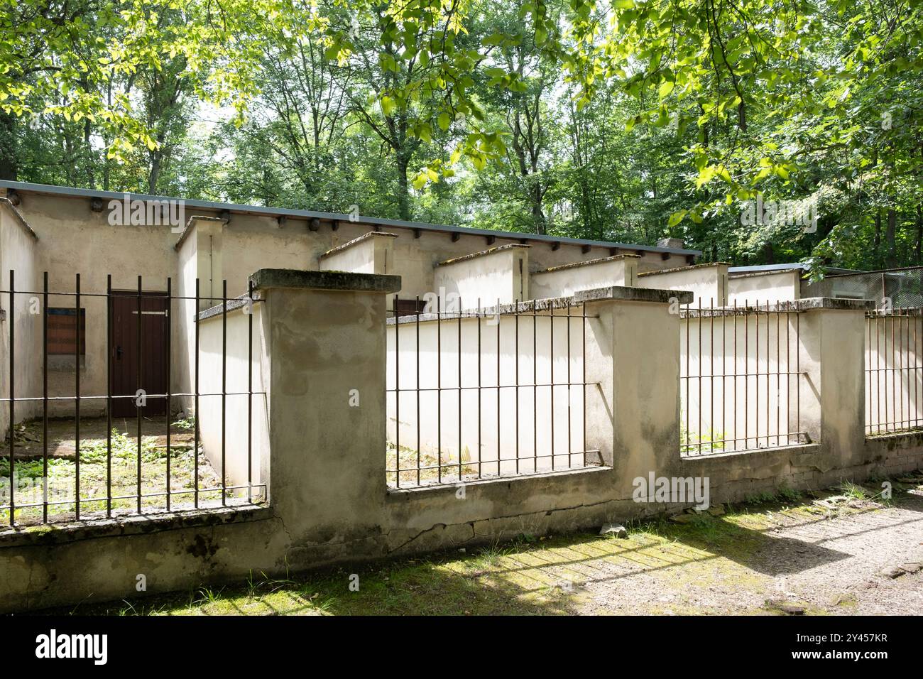 Dog compound in the SS military command headquarters of Buchenwald ...