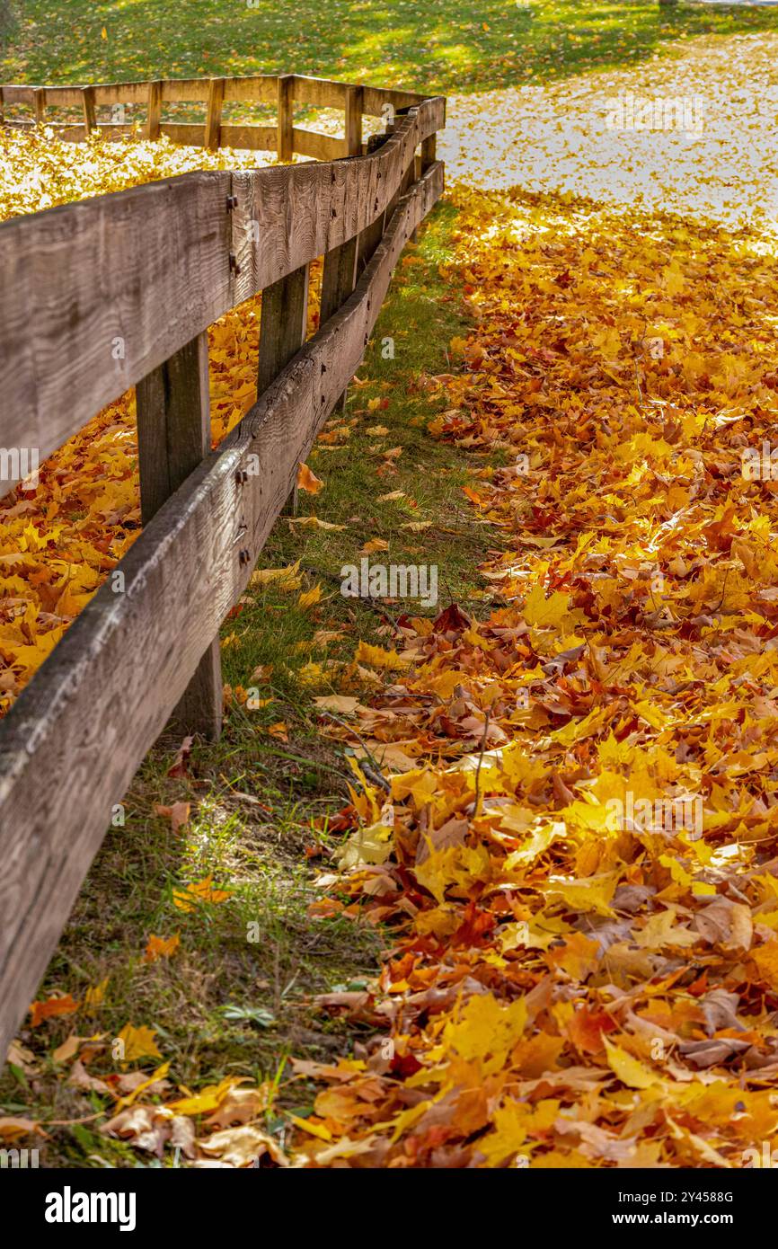 Fall Leaves on the ground along a wood fence Stock Photo - Alamy