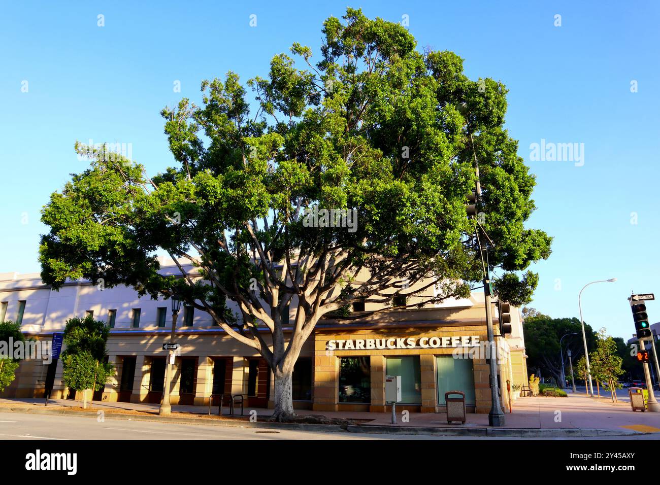 Starbucks Coffe, American multinational chain of coffeehouses and ...