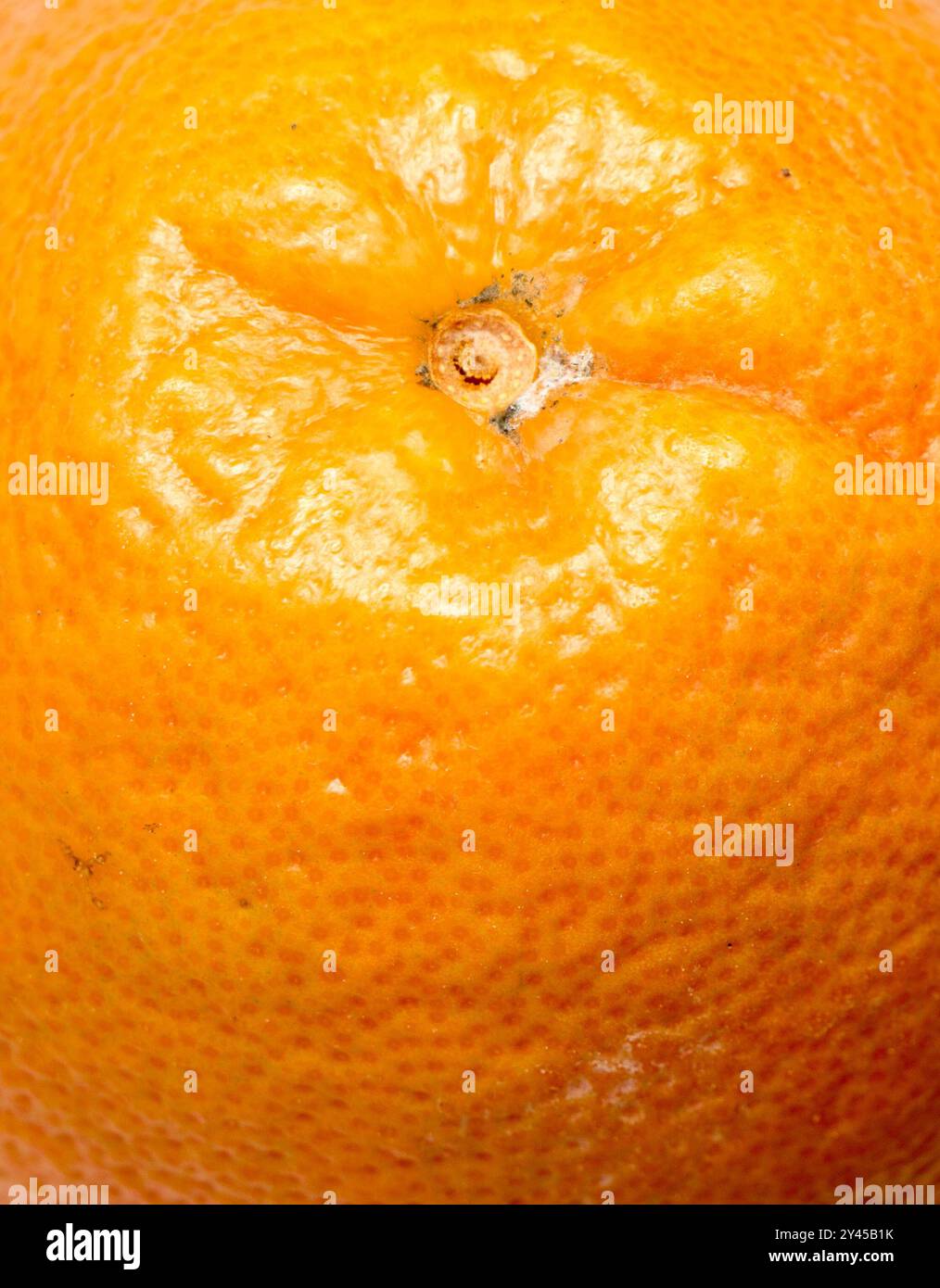 Orange fruit texture and background Stock Photo - Alamy