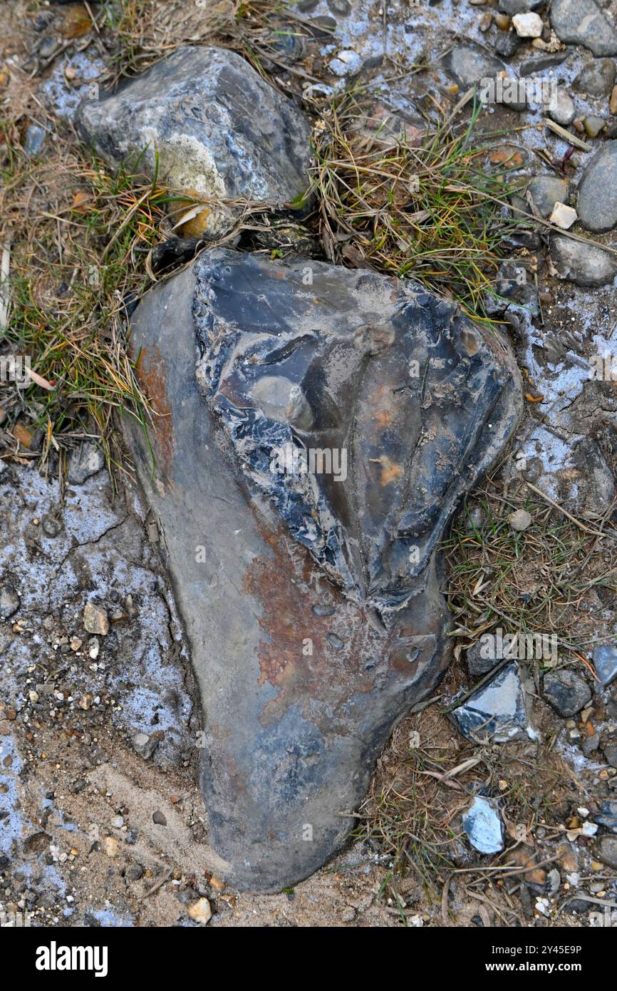 flint stone on ground Stock Photo - Alamy