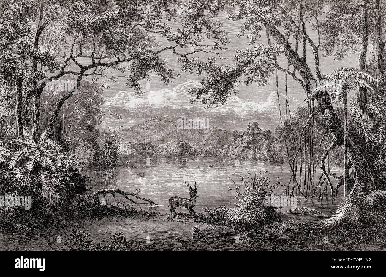 The enchanted lagoon of the island of Luzon, archipelago of the ...