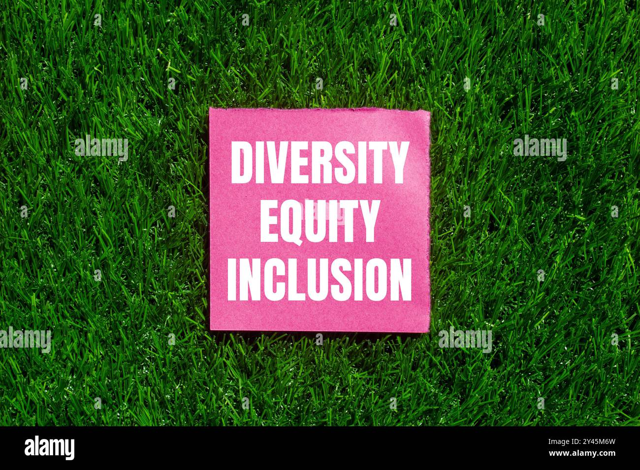 Diversity equity and inclusion message written on ripped torn pink ...