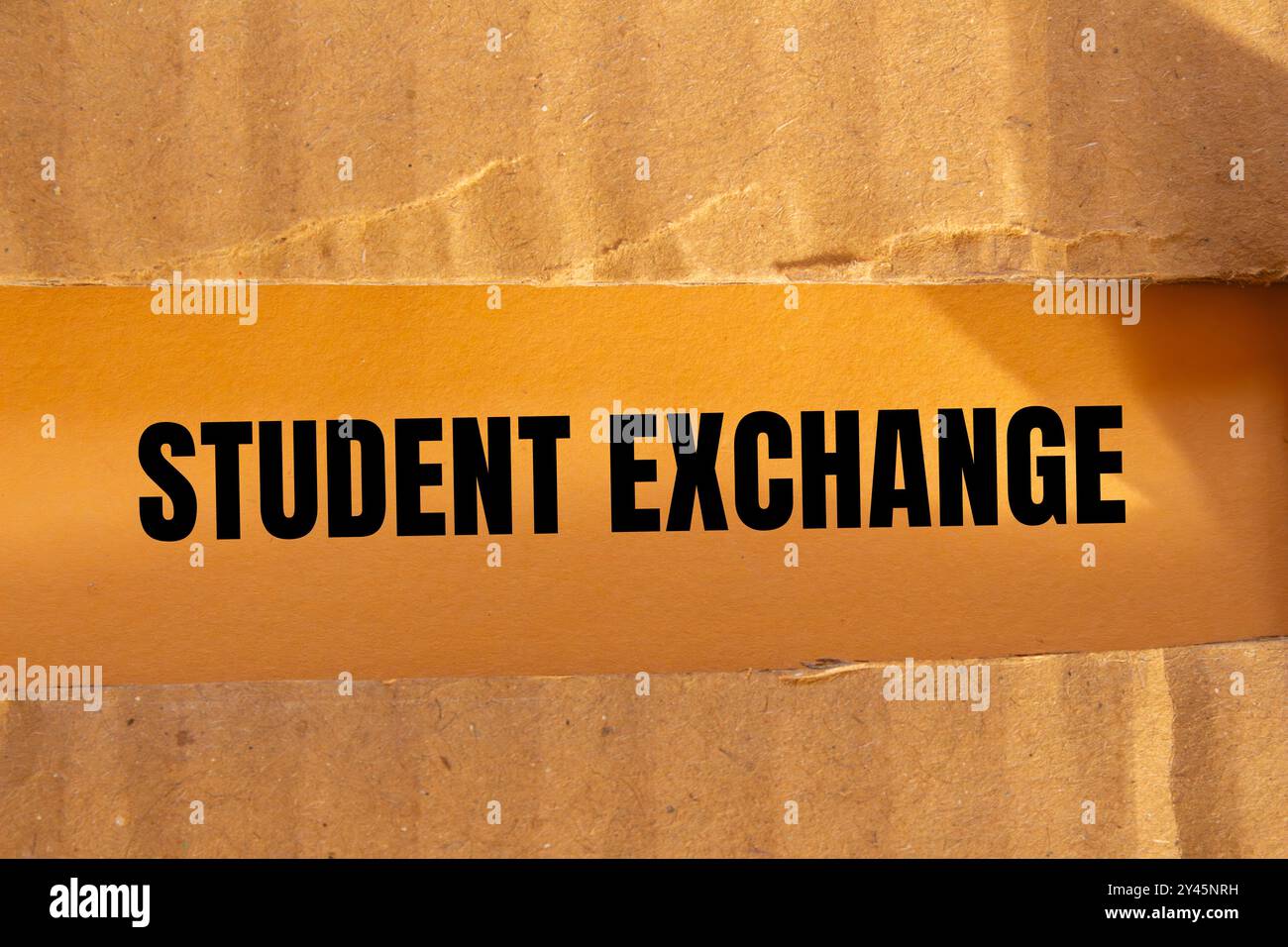 Student exchange message written on ripped torn cardboard paper with ...