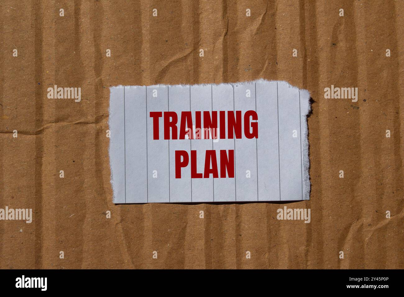 Training plan message written on ripped torn paper with cardboard background. Conceptual ...