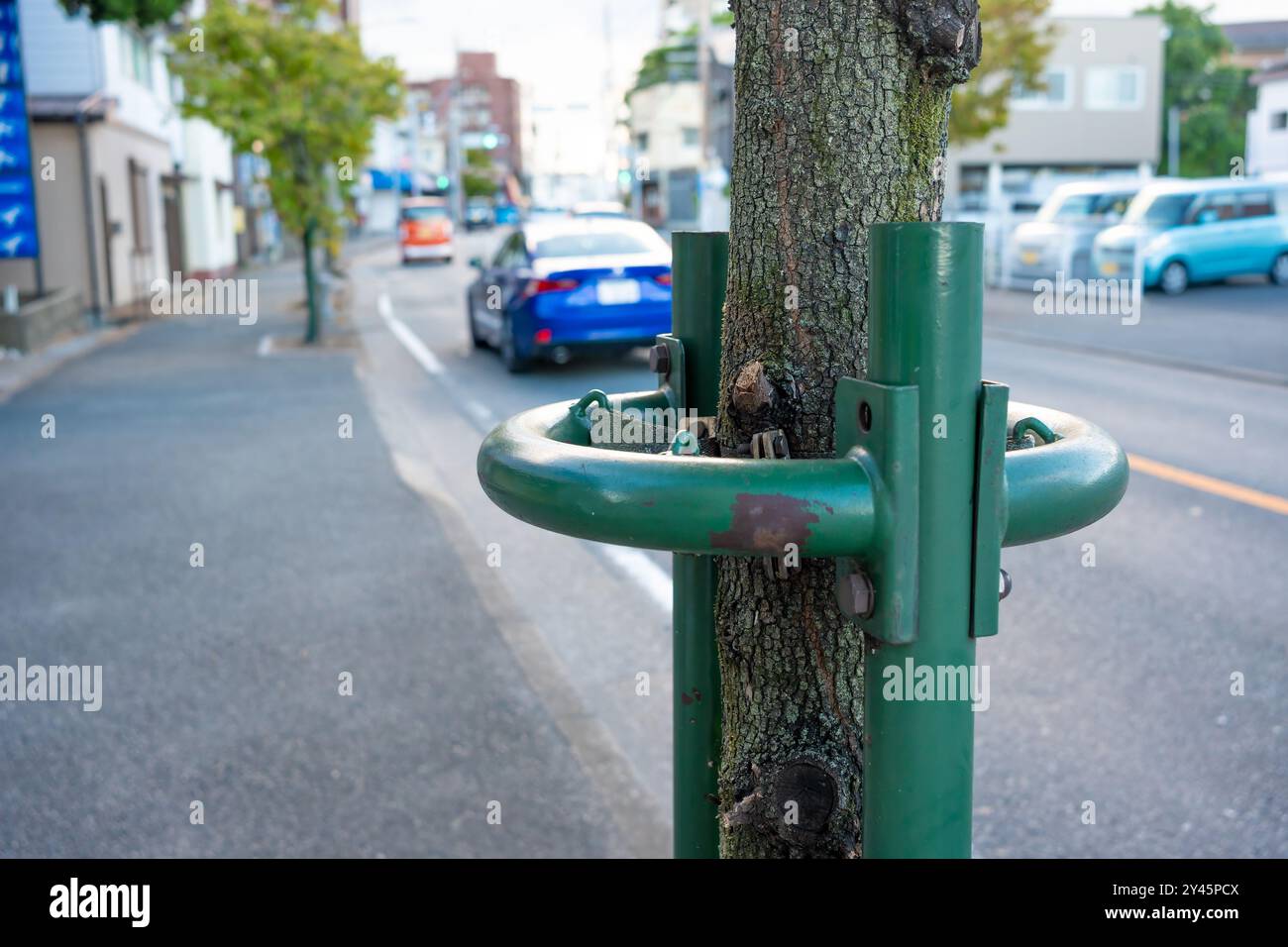 Tree stakes metal bracket straightening support Stock Photo - Alamy