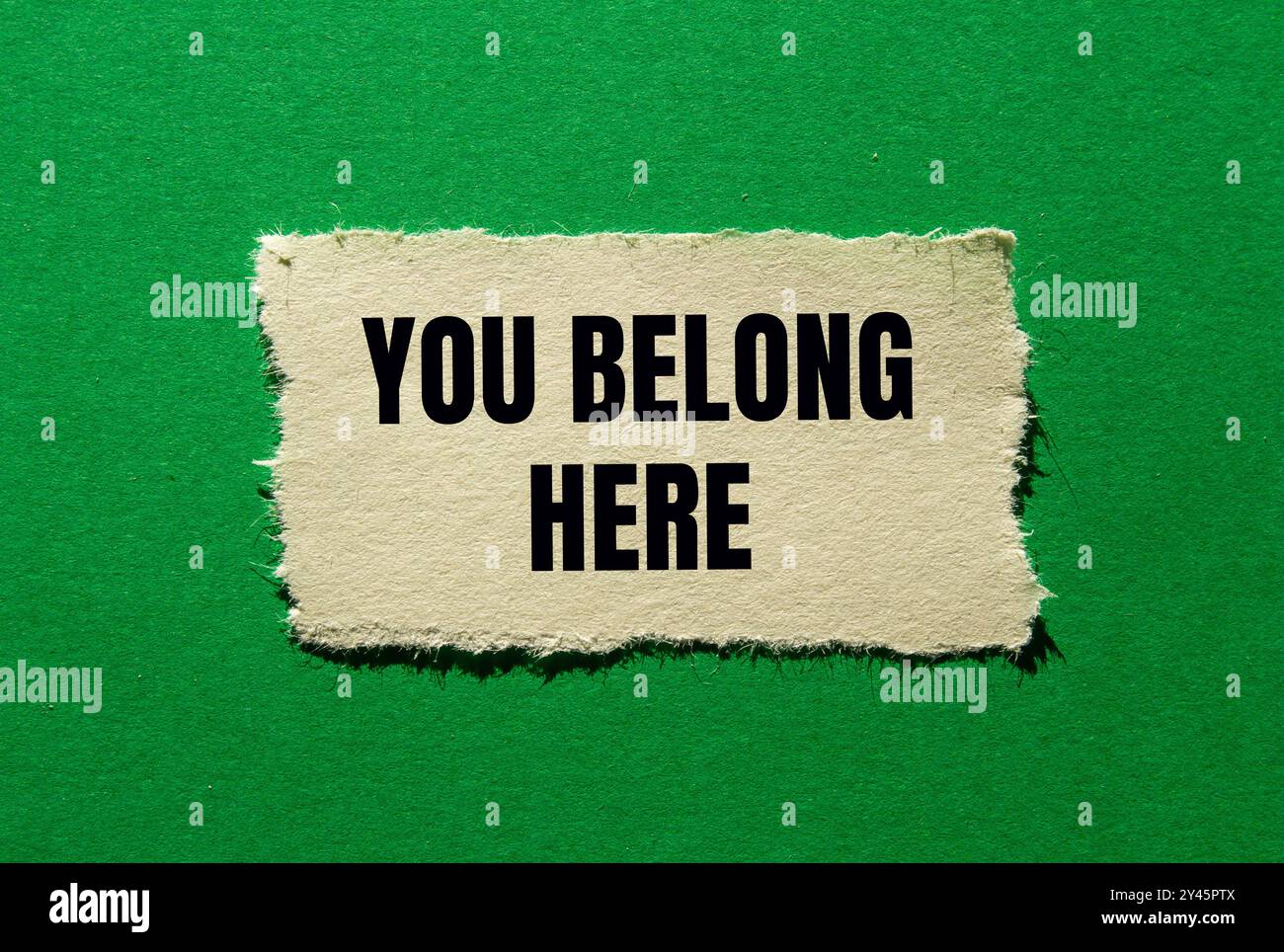 You belong here message written on ripped torn paper piece on green ...