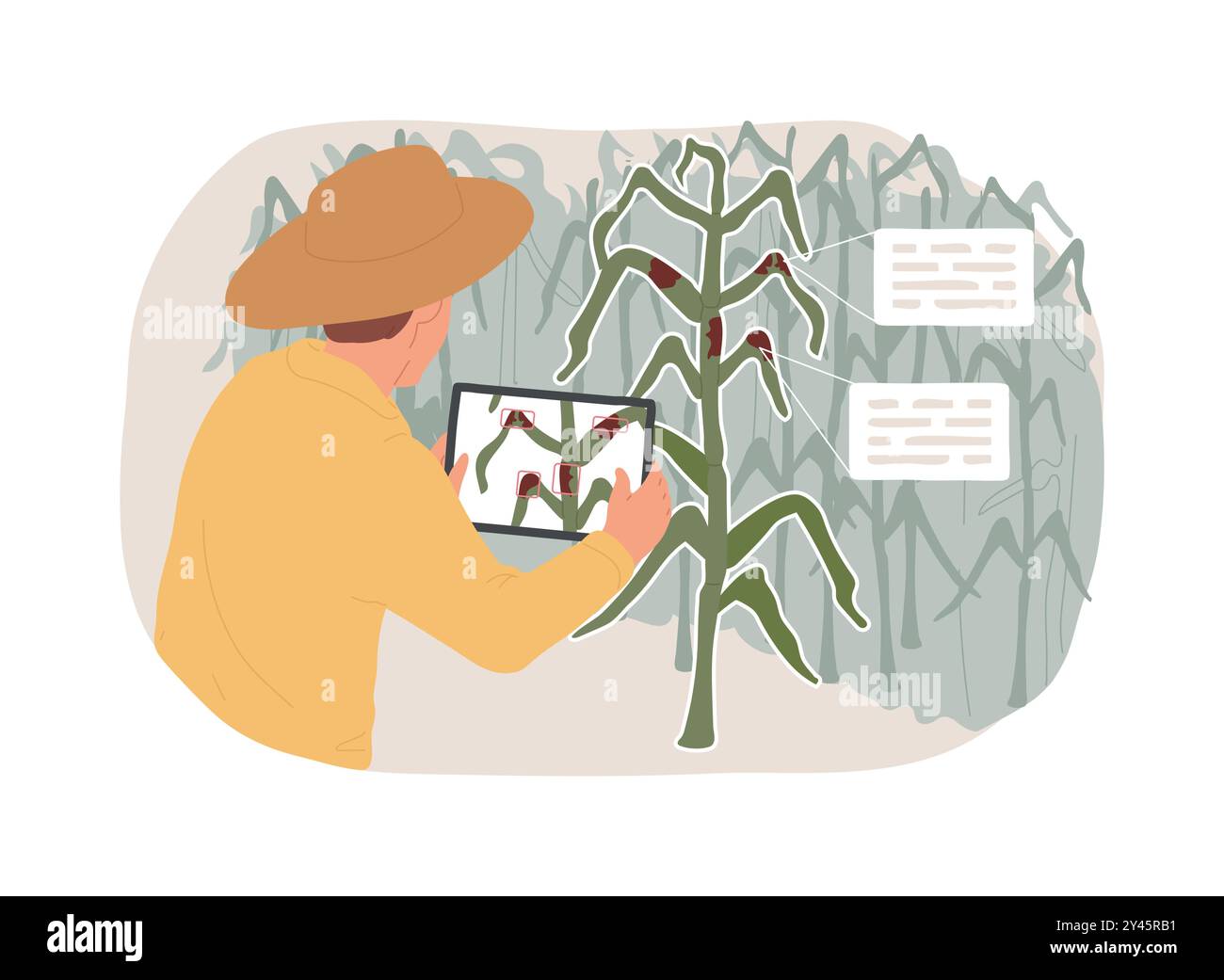 Crop diseases detection isolated cartoon vector illustrations Stock ...