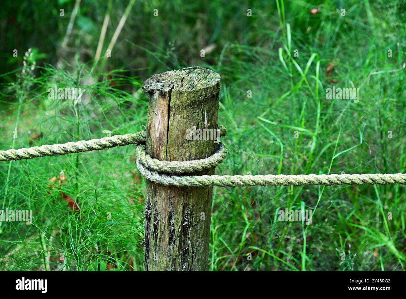 a Wooden post connected by a Rope Stock Photo - Alamy