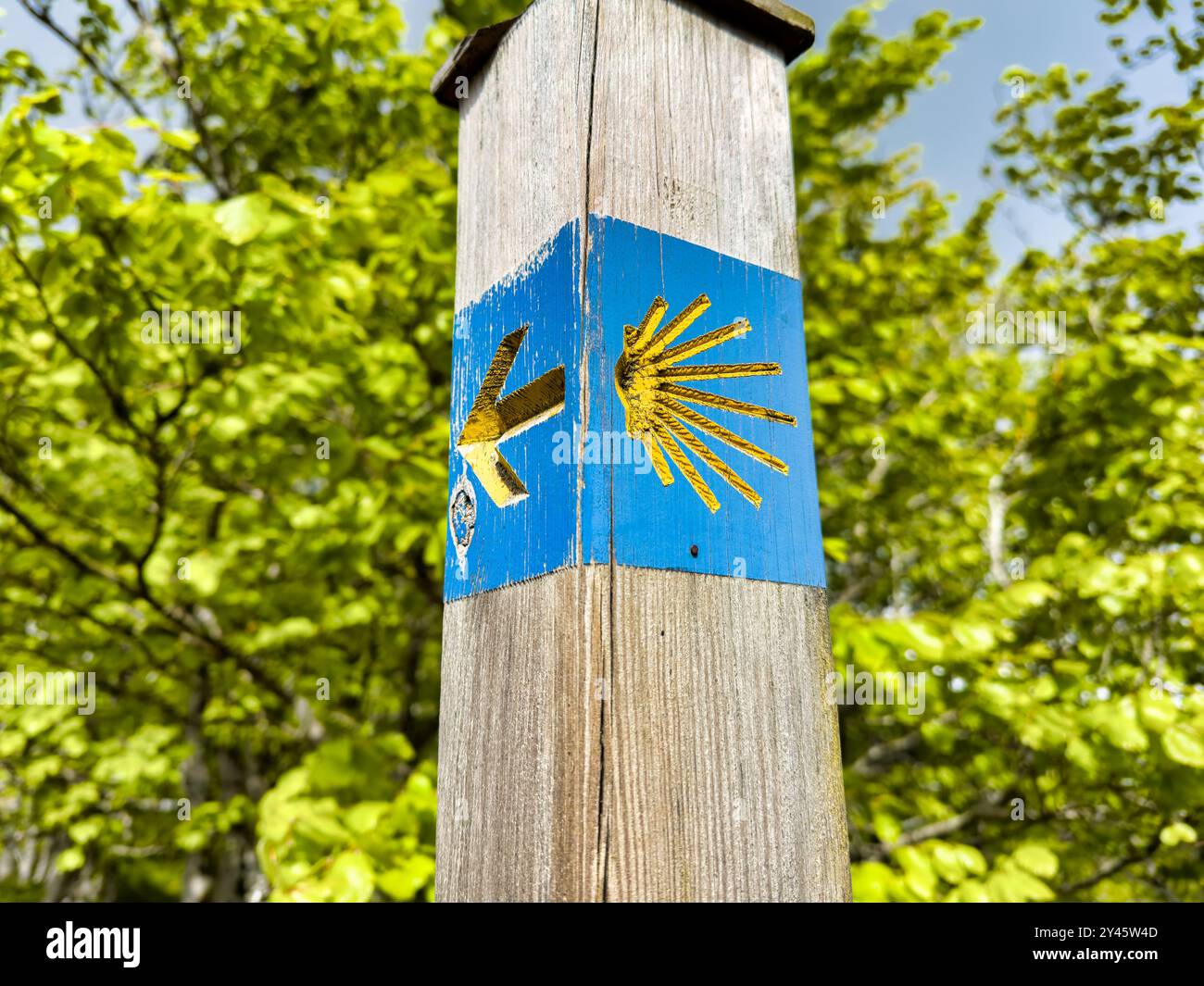 The Scallop shell sign pointing the direction of the Camino trail Stock ...