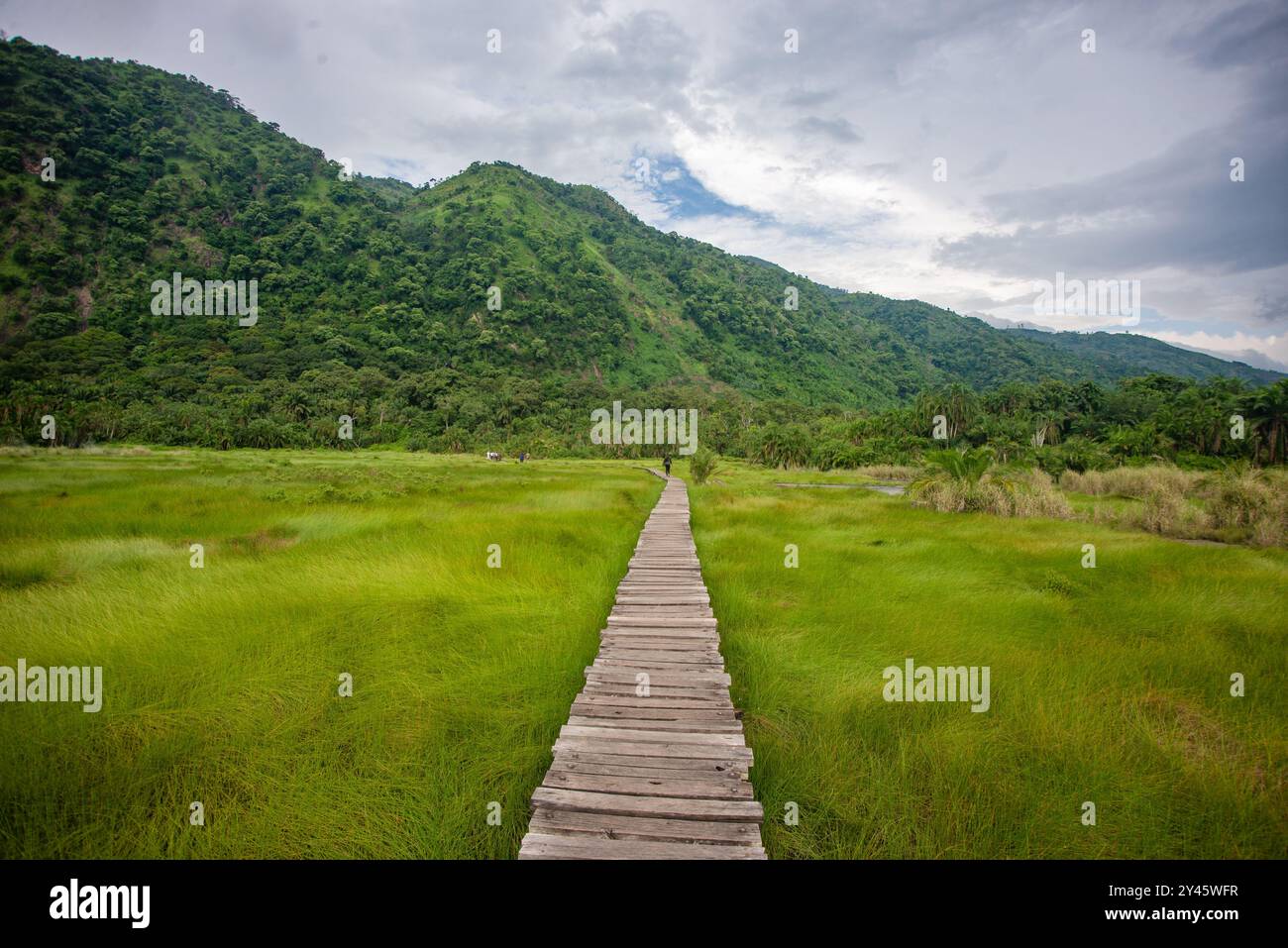 Walk board in Semliki National Park Uganda Stock Photo - Alamy