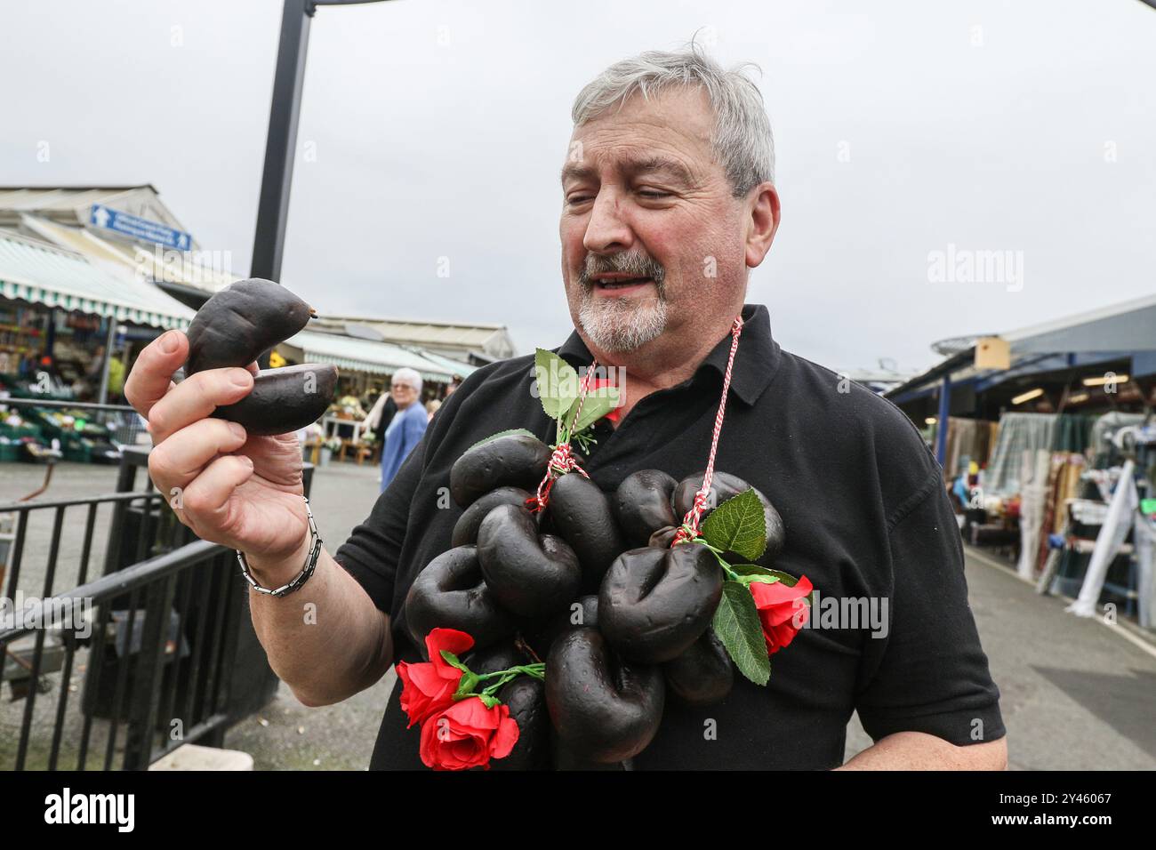 7 September 2024. Bury, Lancashire UK. The World Black Pudding Throwing ...