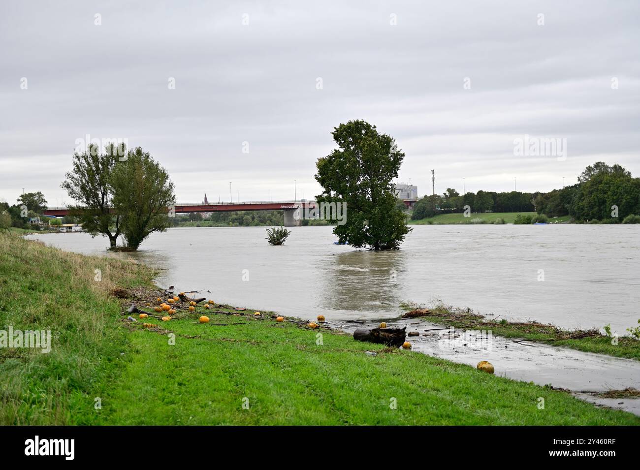 Vienna, Austria. September 16, 2024. Storm and flooding on the New ...