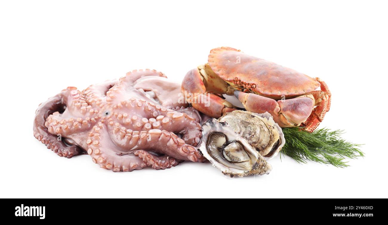 Fresh raw octopus and different sea food isolated on white Stock Photo ...
