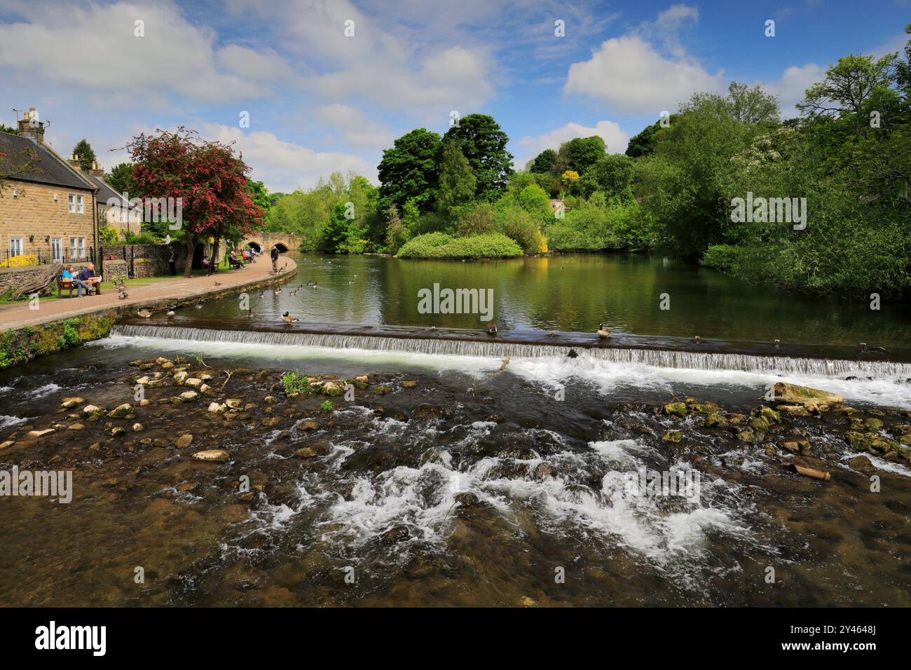 The river Wye at Bakewell Town, Peak District National Park, Derbyshire ...