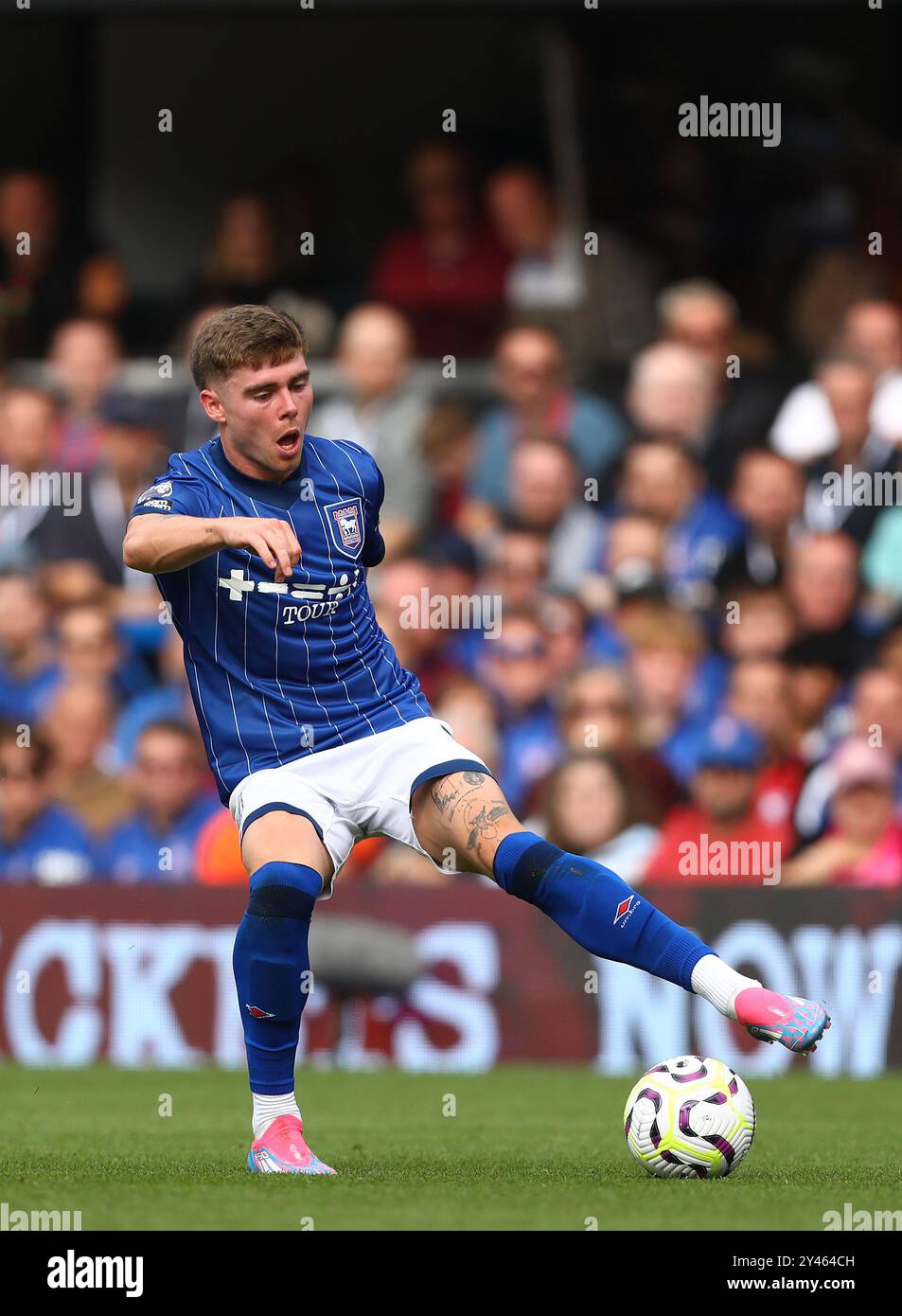 Leif davis ipswich august 2024 hi-res stock photography and images - Alamy