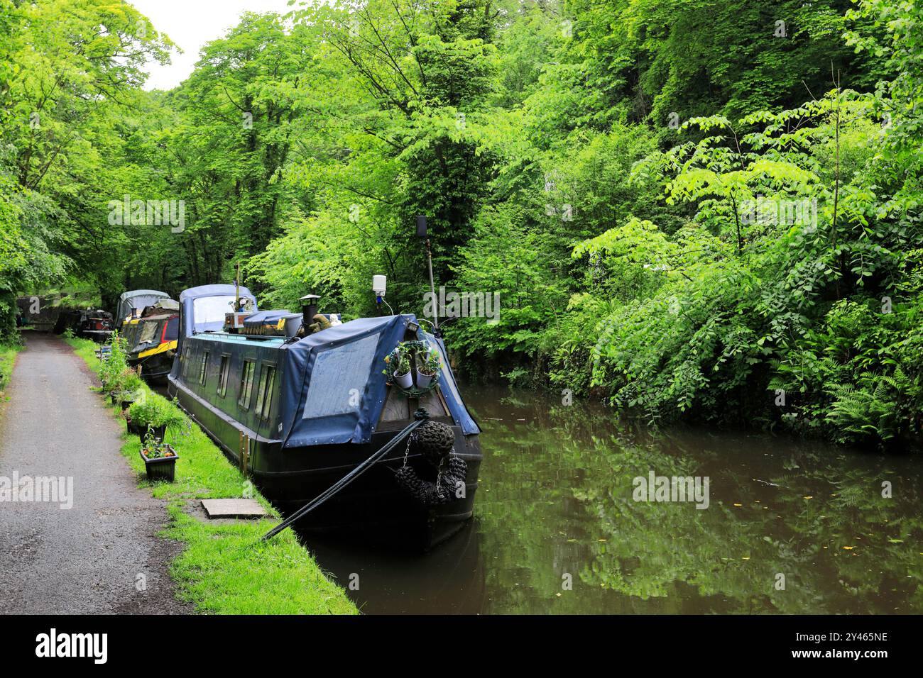 Narrowboats at the Peak Forest canal basin, Whaley Bridge (Gateway to ...